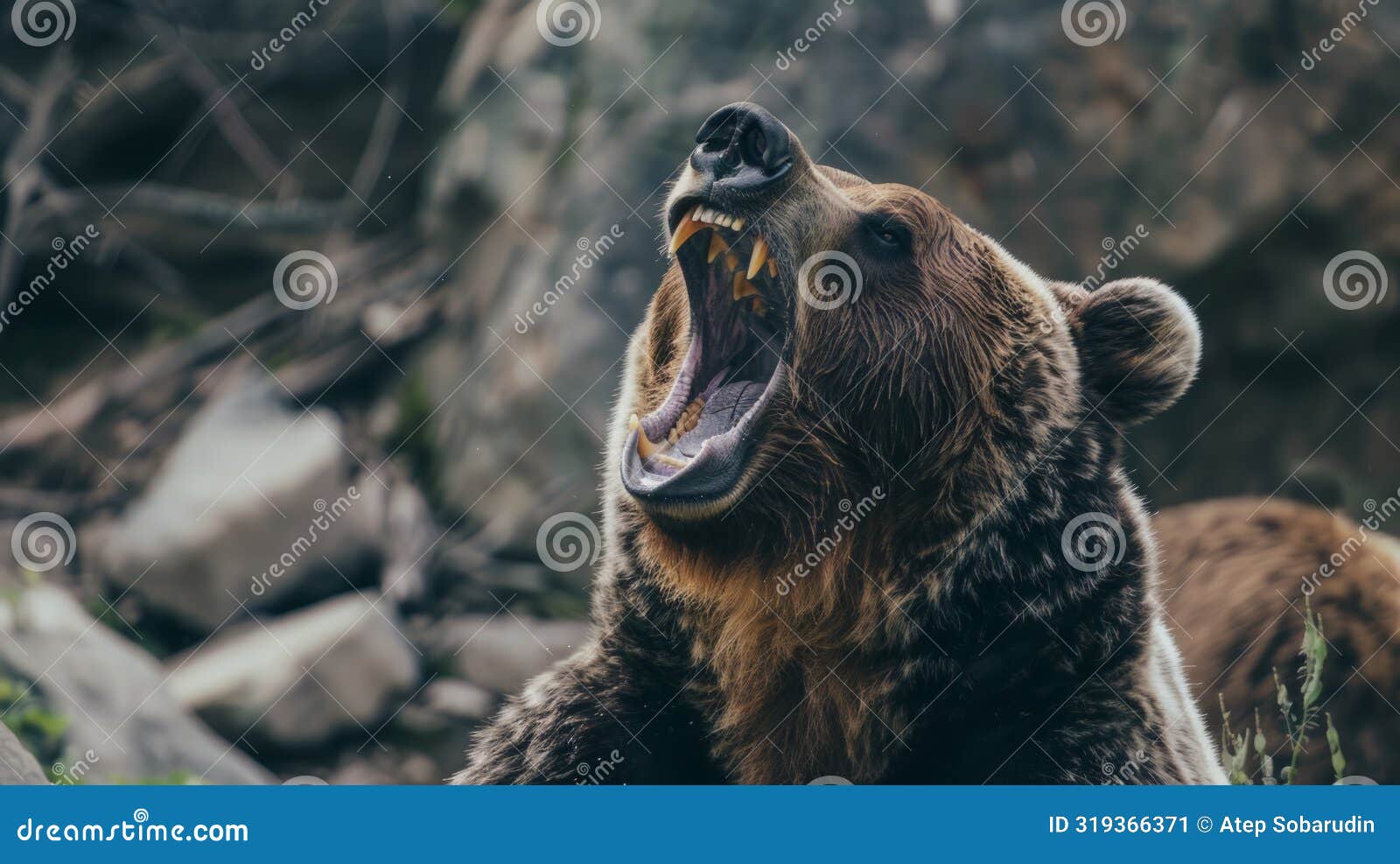 Grizzly Roars Warning. Generative Ai Stock Illustration - Illustration ...