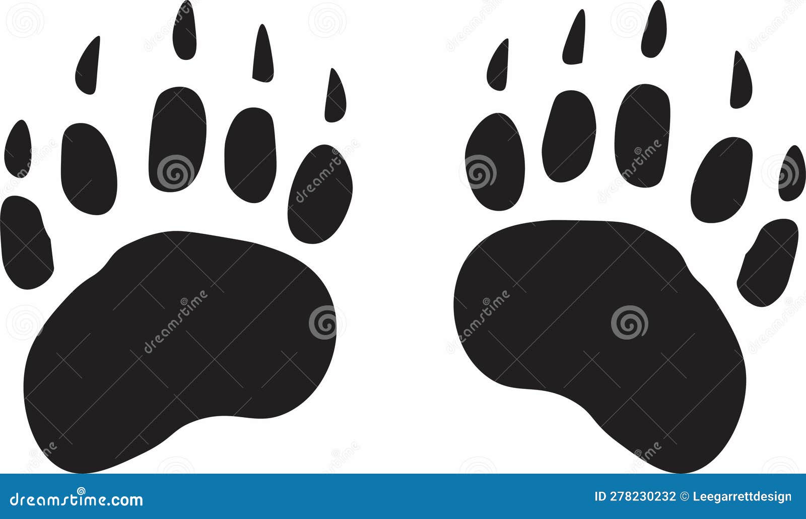 Grizzly Tracks Front Paws stock vector. Illustration of presentation ...
