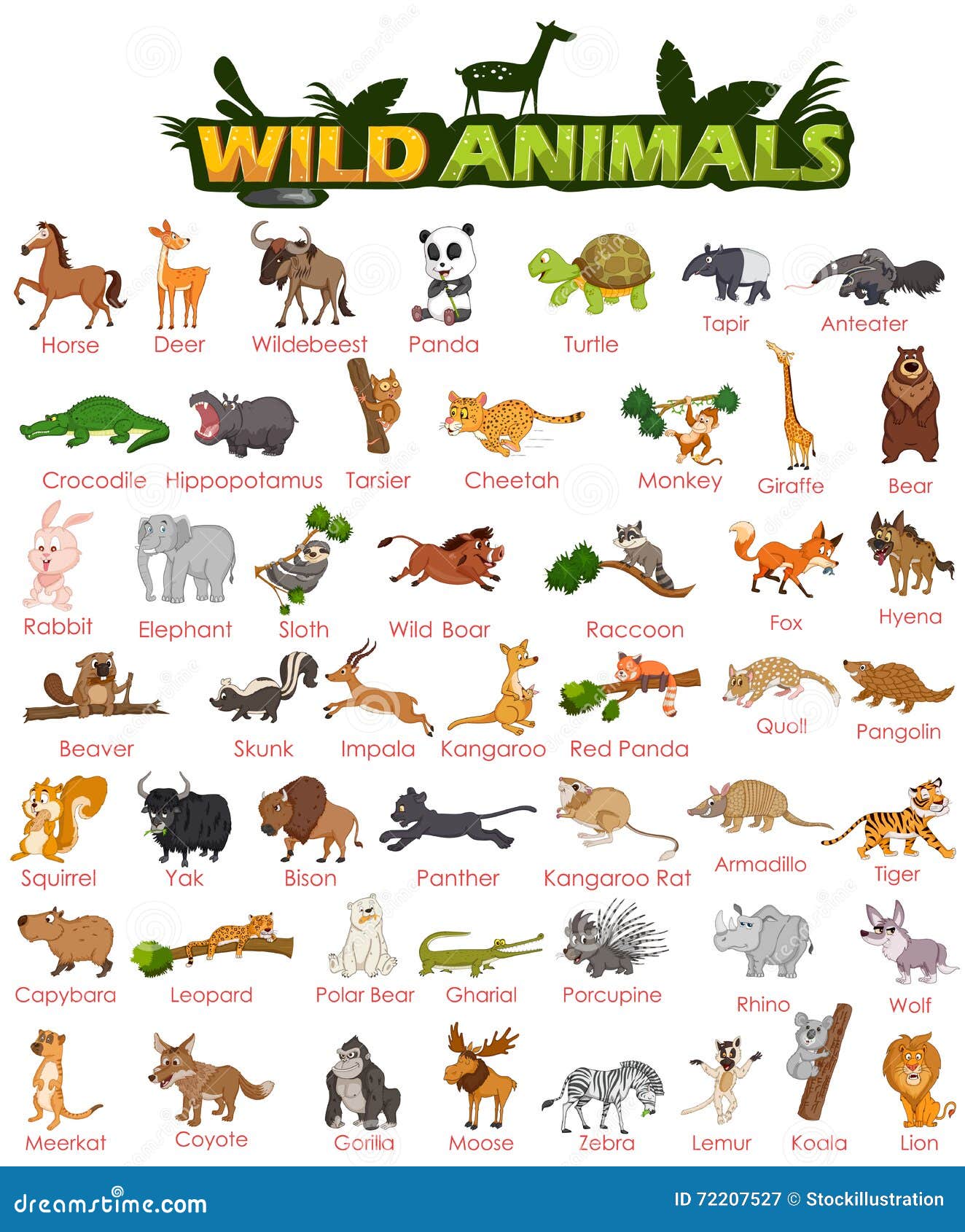 Große Vielfalt Von Wilden Tieren Vektor Abbildung - Illustration von ...