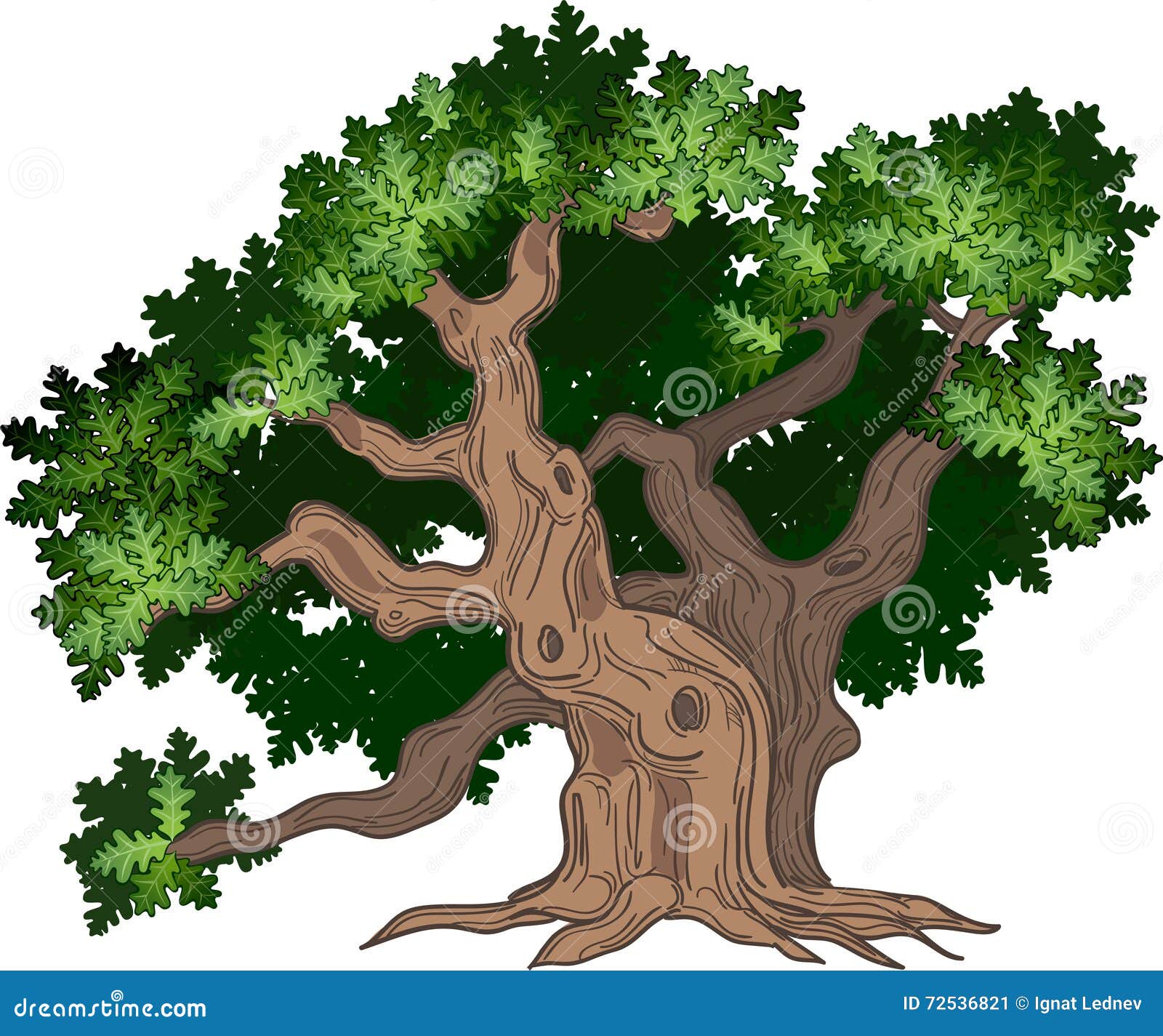 Großer Eichenbaum stock abbildung. Illustration von blades - 72536821
