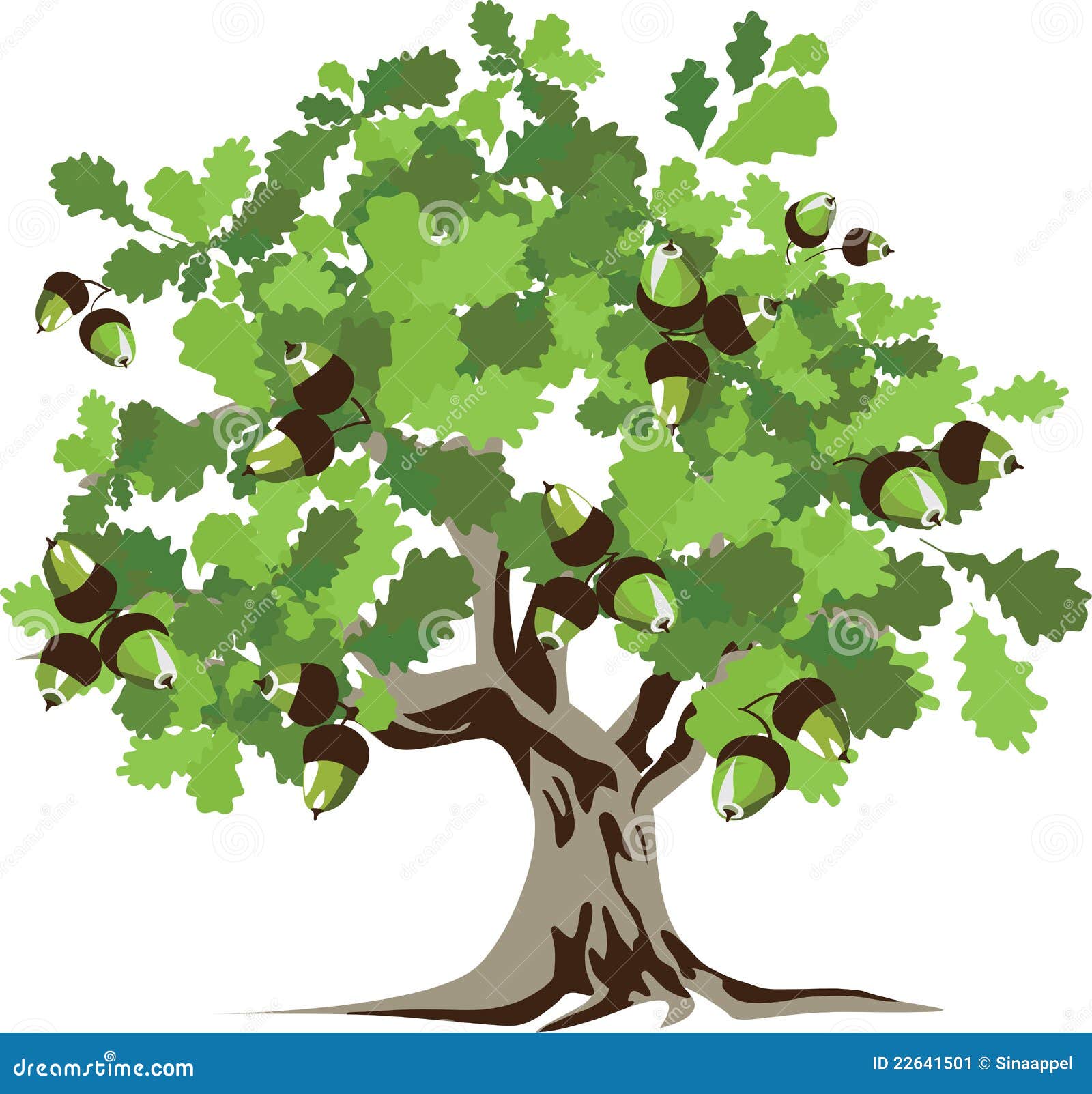 Großer grüner Eichenbaum stockbild. Illustration von busch - 22641501