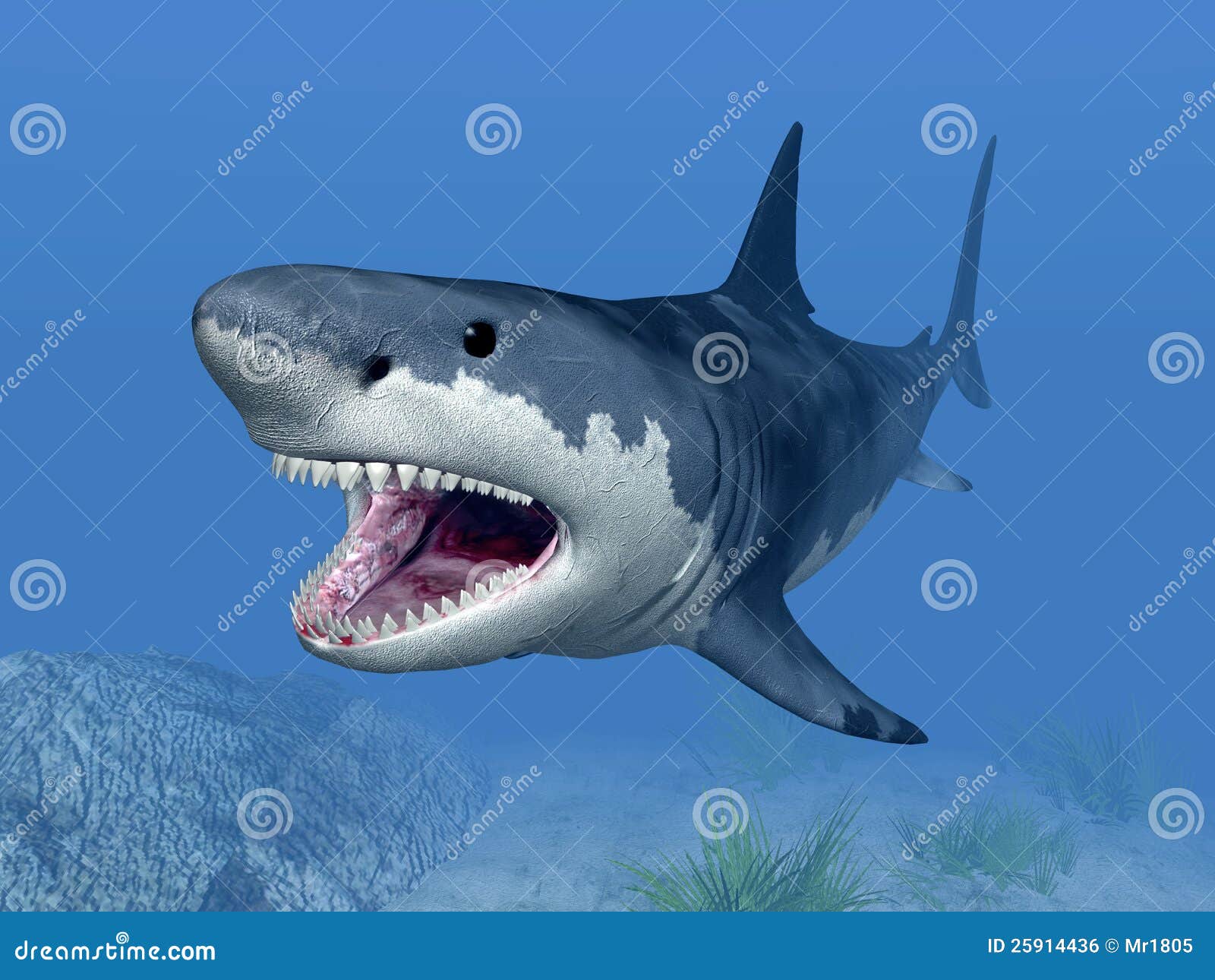 Großer weißer Haifisch stock abbildung. Illustration von nave - 25914436