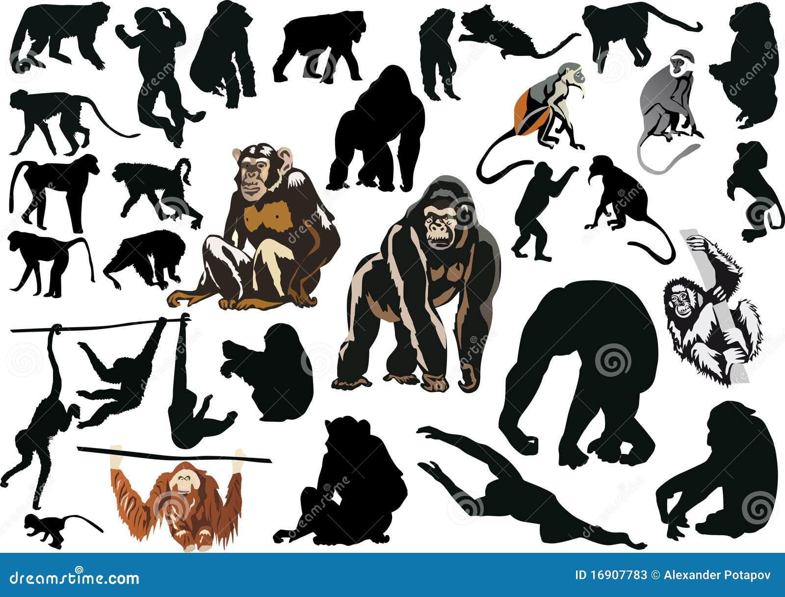 Großes Set Verschiedene Fallhammer Vektor Abbildung - Illustration von ...