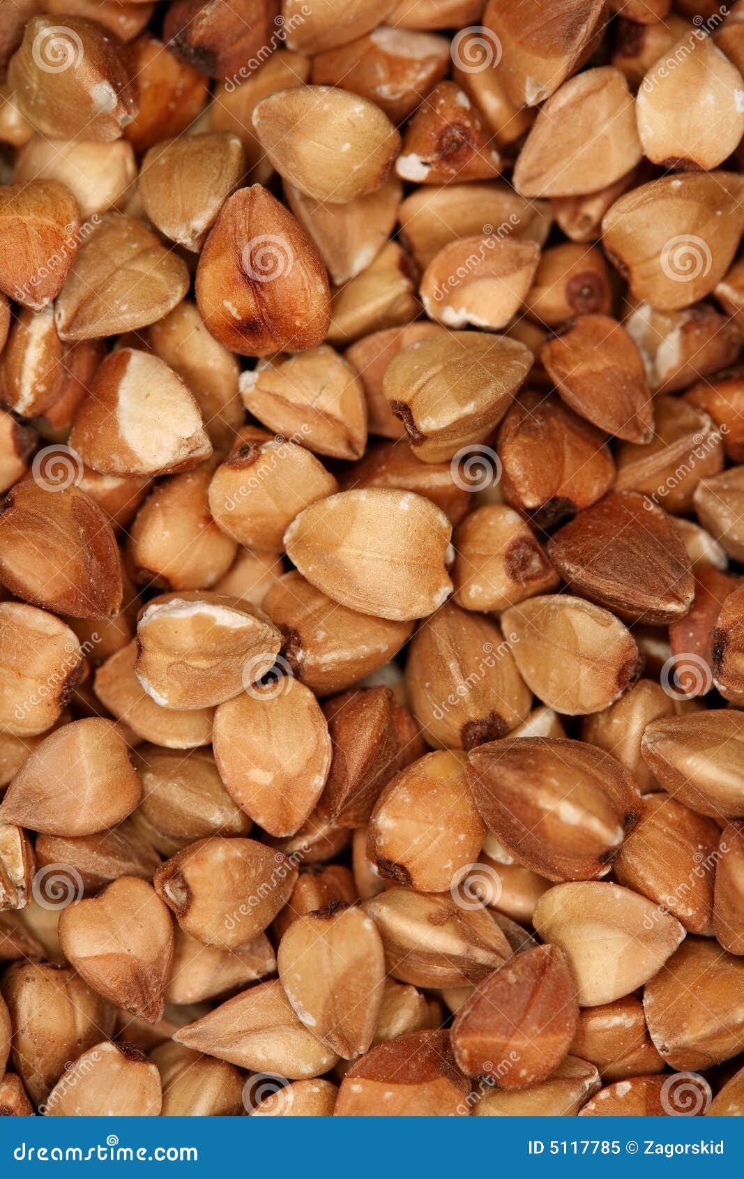 Groats stock image. Image of heap, harvest, diet, closeup - 5117785