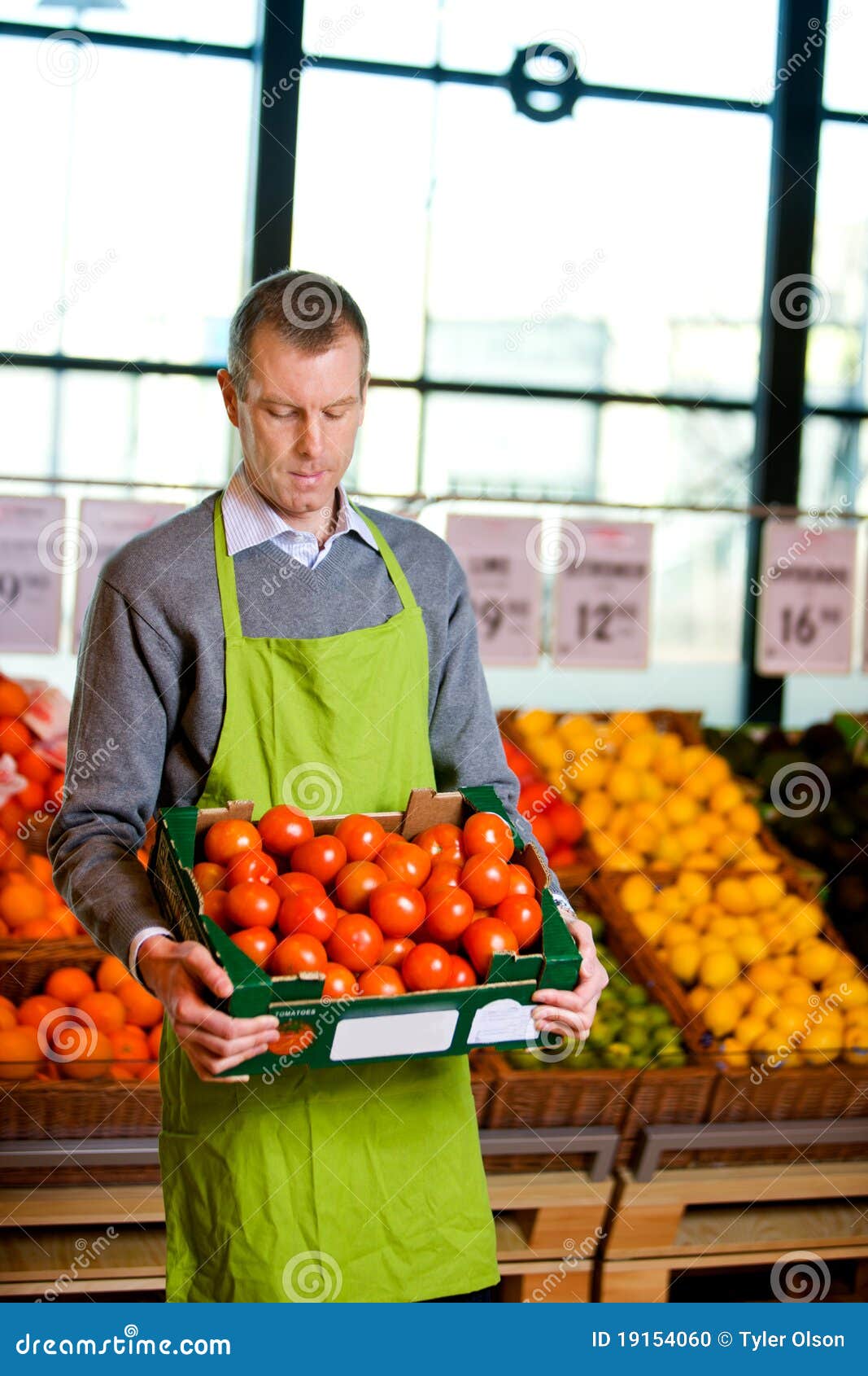 Grocer with Tomatoes stock photo. Image of worker, work - 19154060