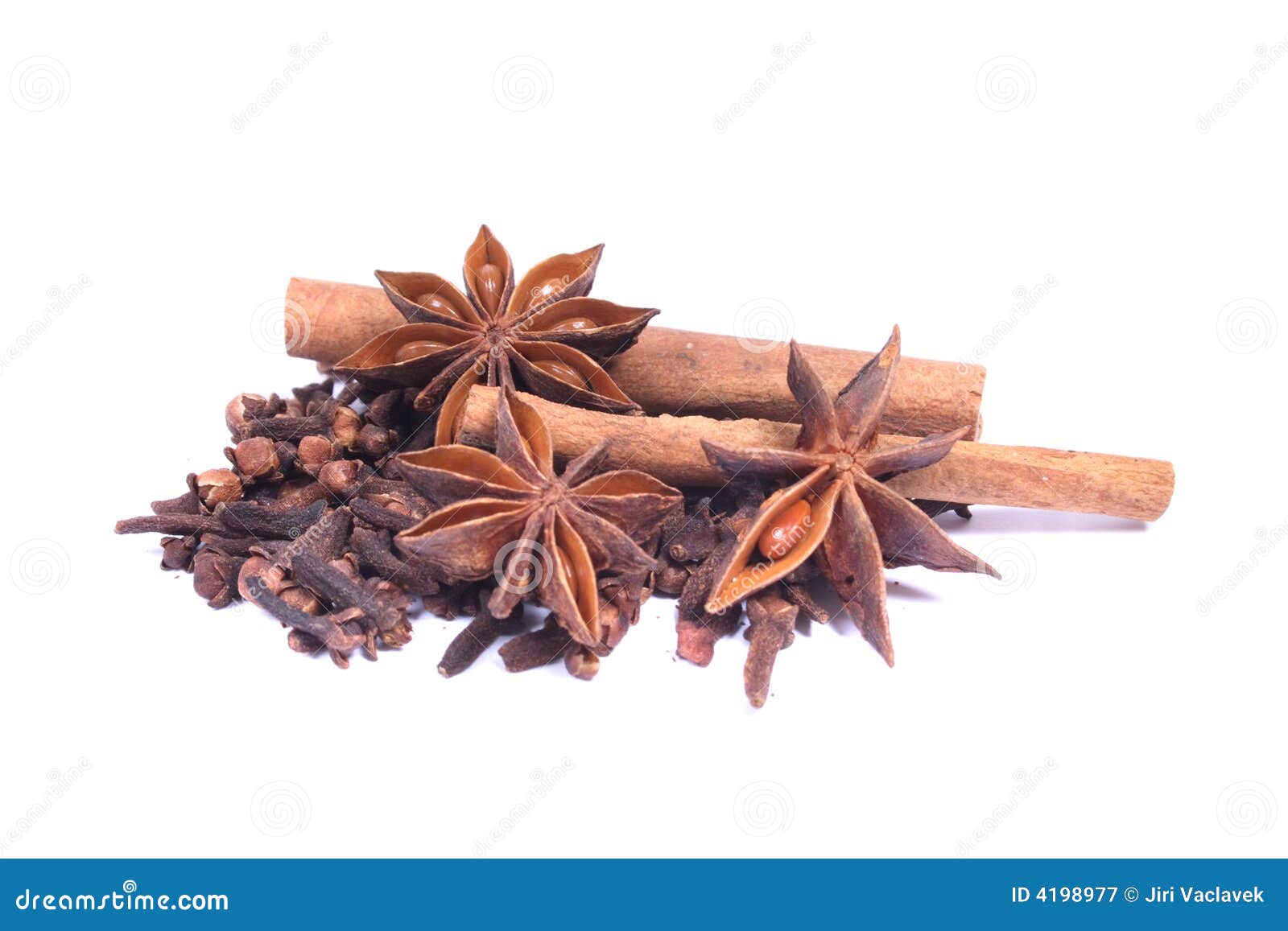 224 Badian Flower Photos - Free & Royalty-Free Stock Photos from Dreamstime