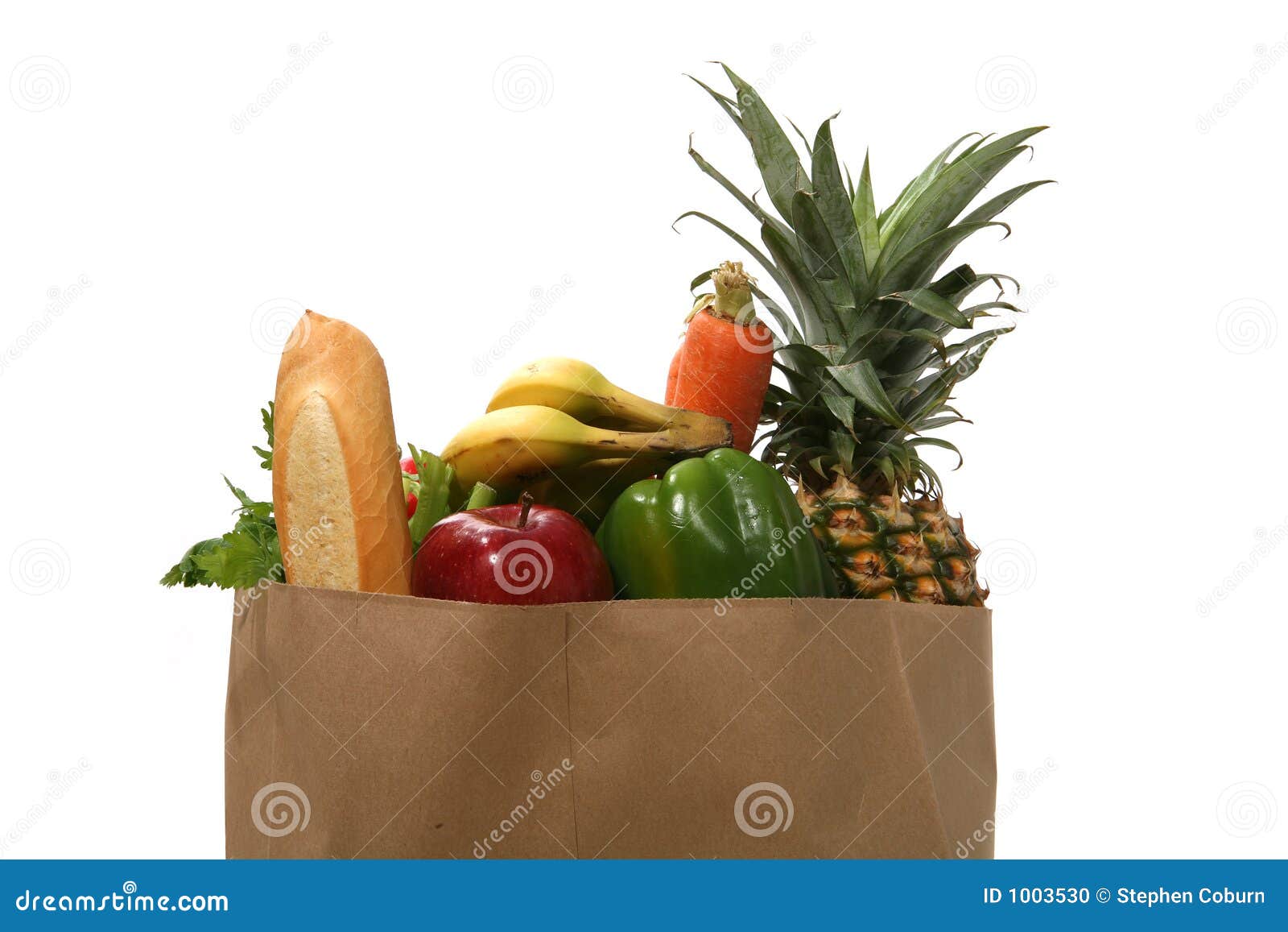 Grocery Bag stock photo. Image of green, roll, kitchen - 1003530