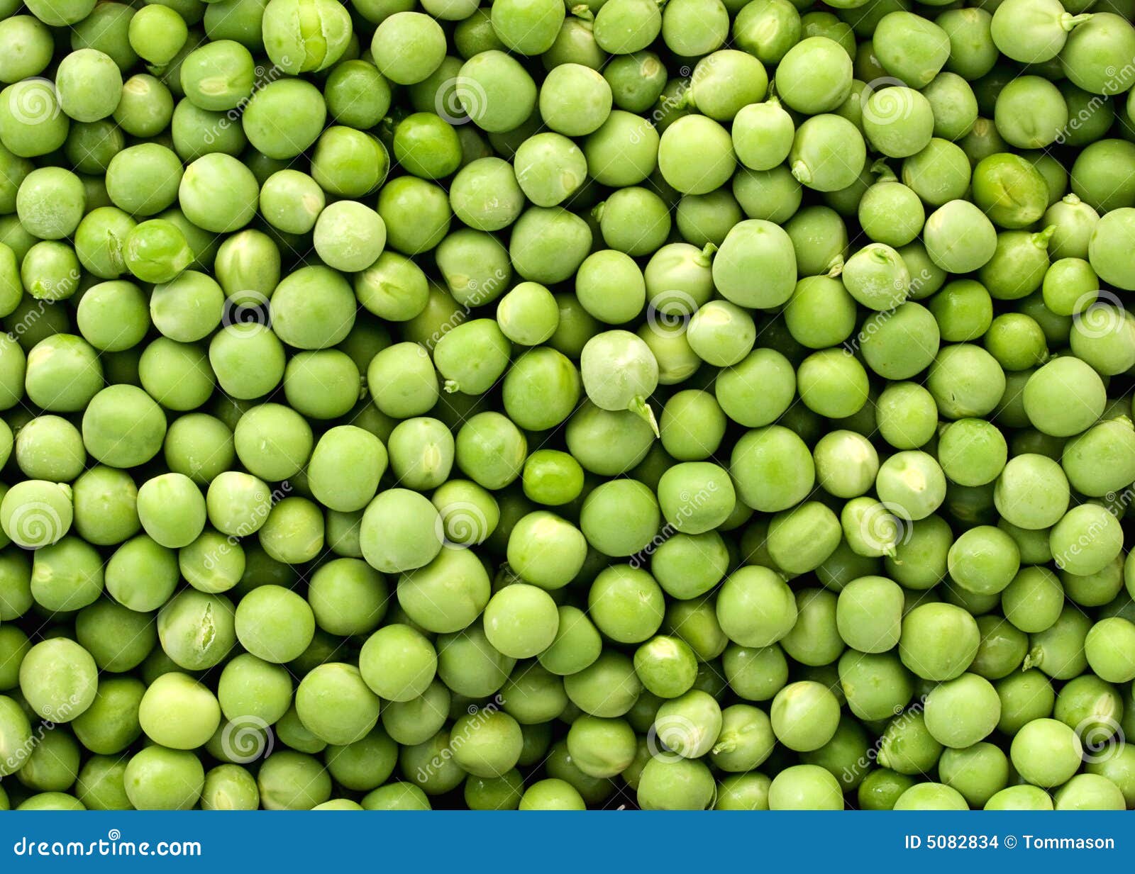 Groch zdjęcie stock. Obraz złożonej z organicznie, grochy - 5082834