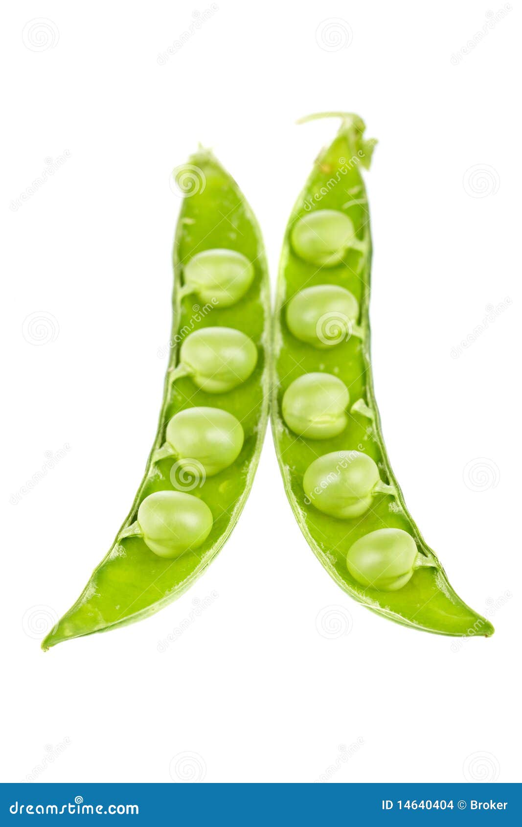 Grochu strąk zdjęcie stock. Obraz złożonej z jarosz, dojrzały - 14640404