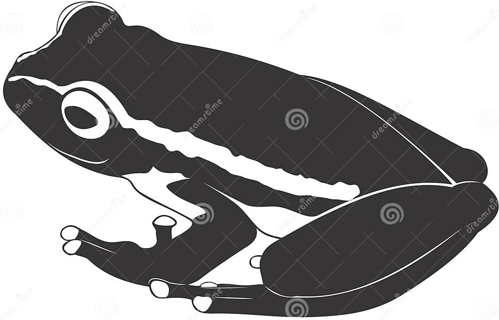 Groda vektor illustrationer. Illustration av groda, stilsort - 1410267