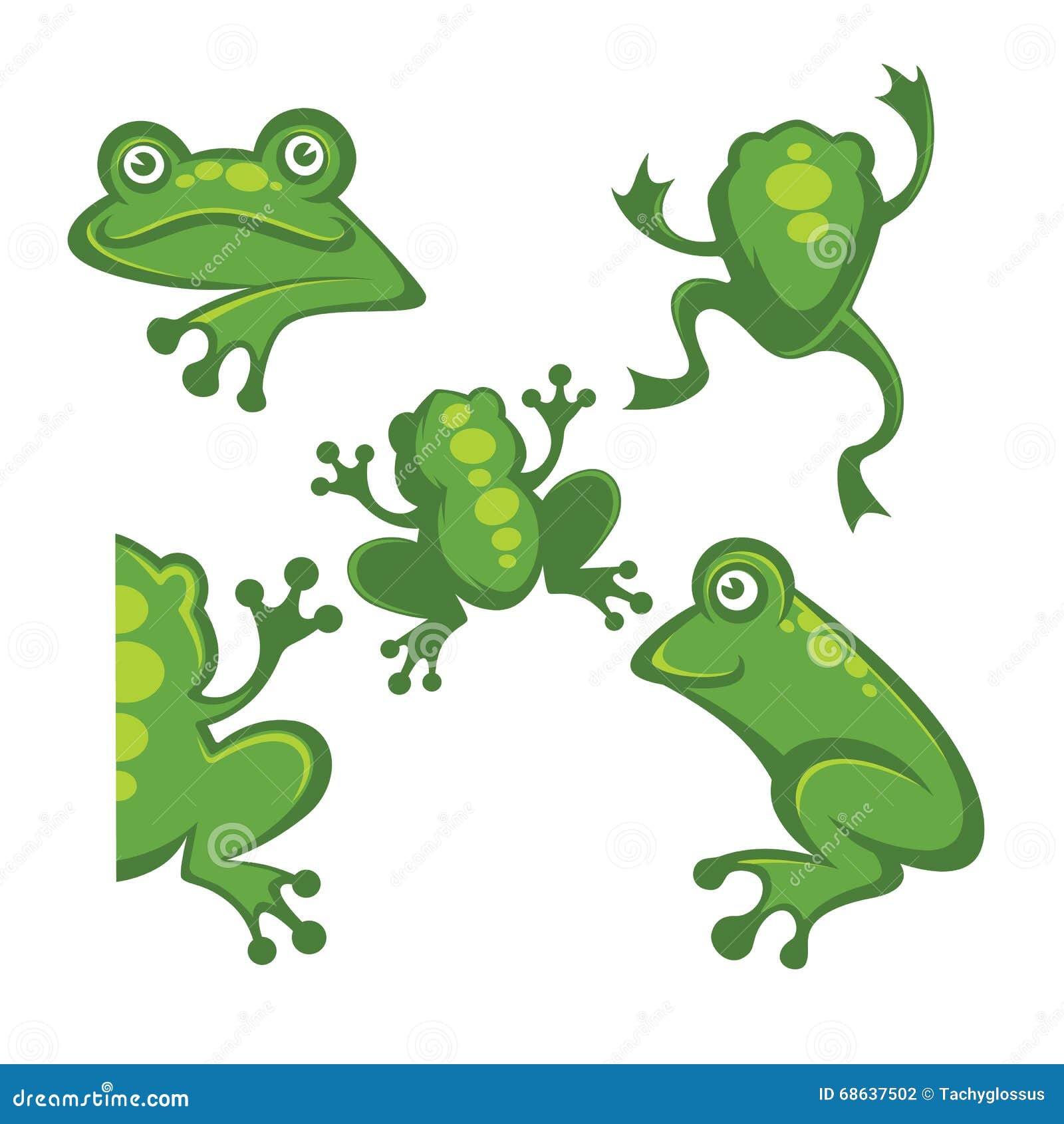 Groda vektor illustrationer. Illustration av glädje, hoppa - 68637502