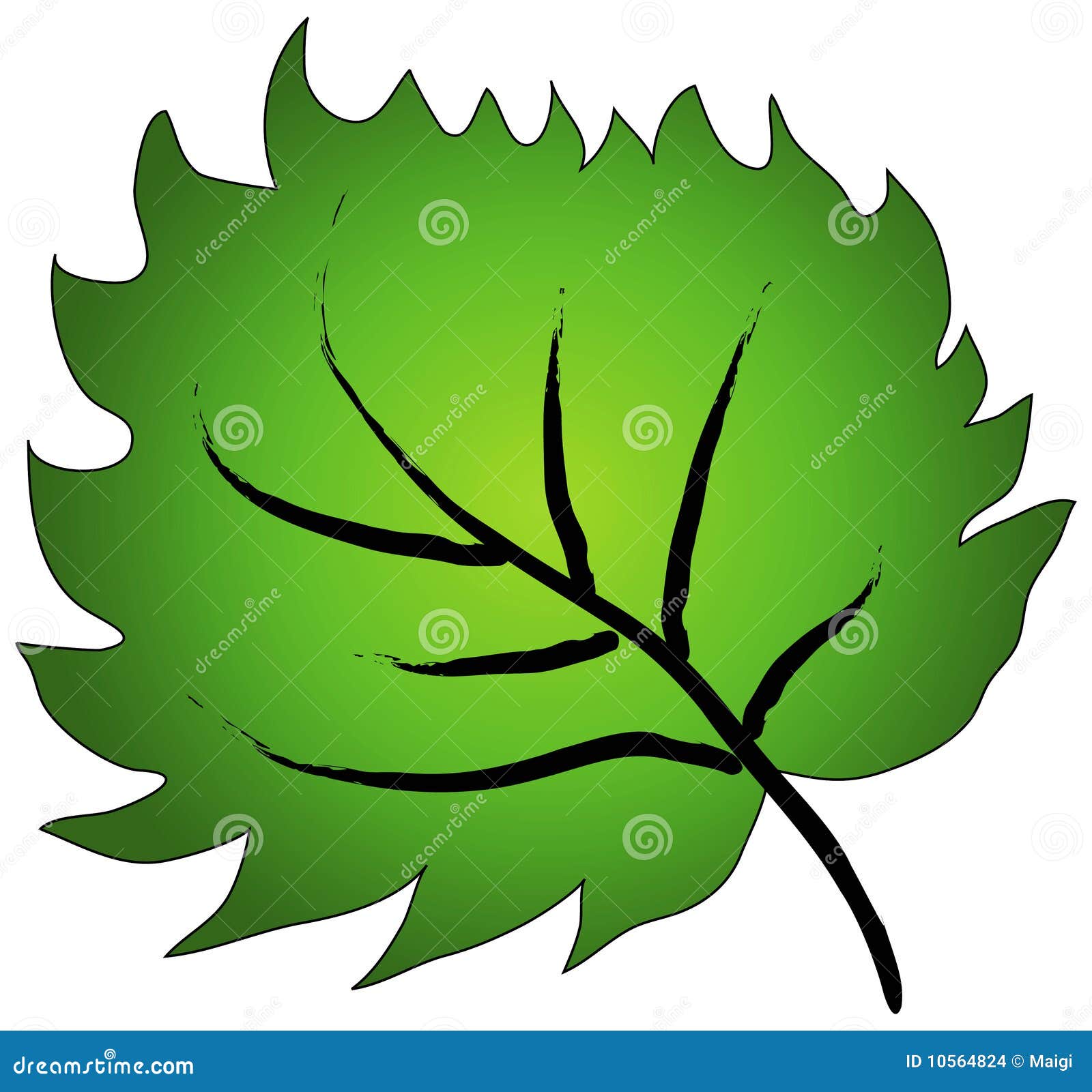 Groen blad vector illustratie. Illustration of vergankelijk - 10564824
