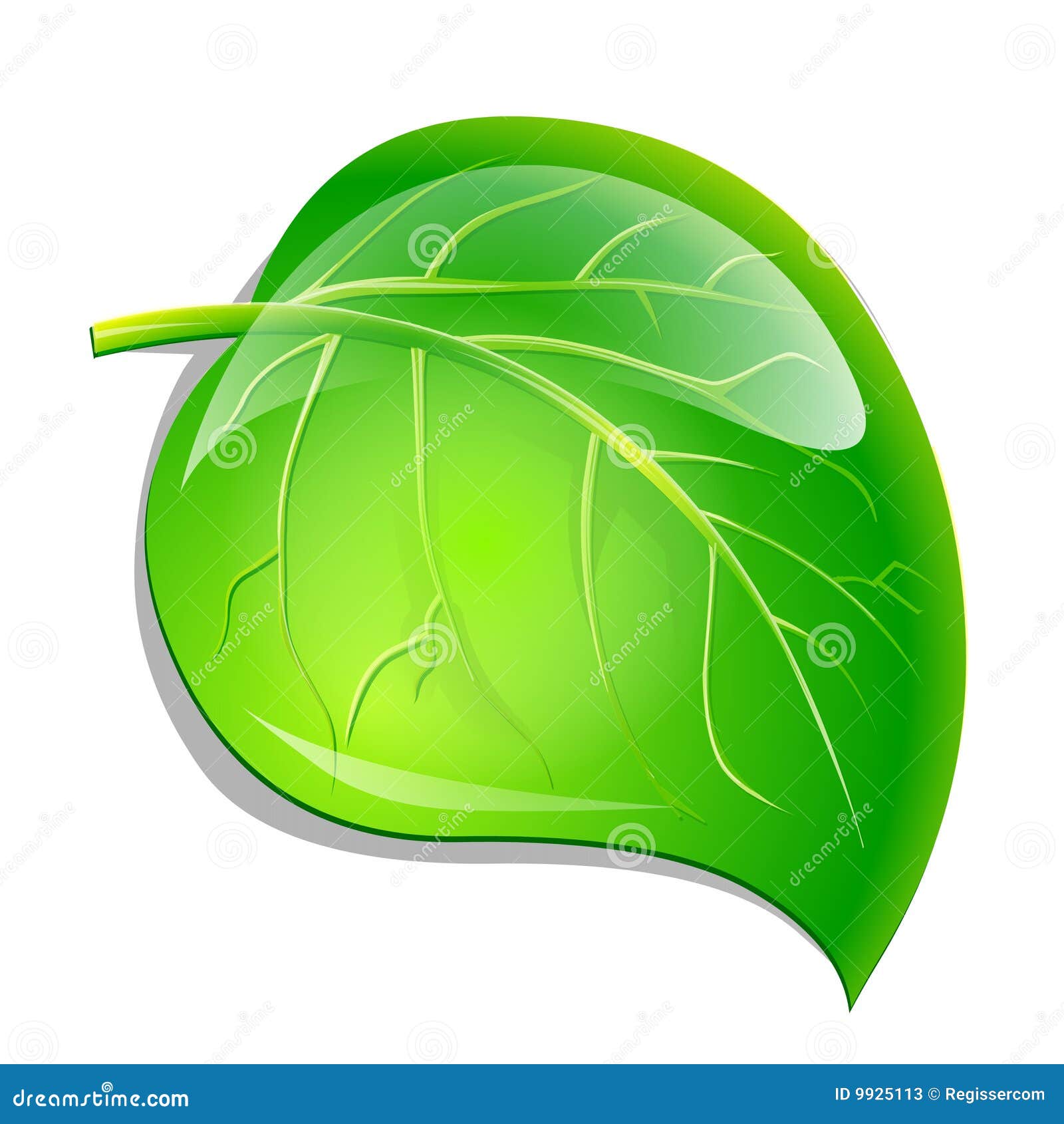 Groen Blad stock illustratie. Afbeelding bestaande uit geïsoleerd - 9925113