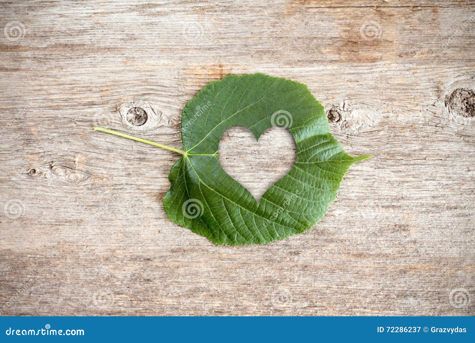 Groen Blad Met Een Knipsel Van Een Hart Stock Afbeelding - Image of ...