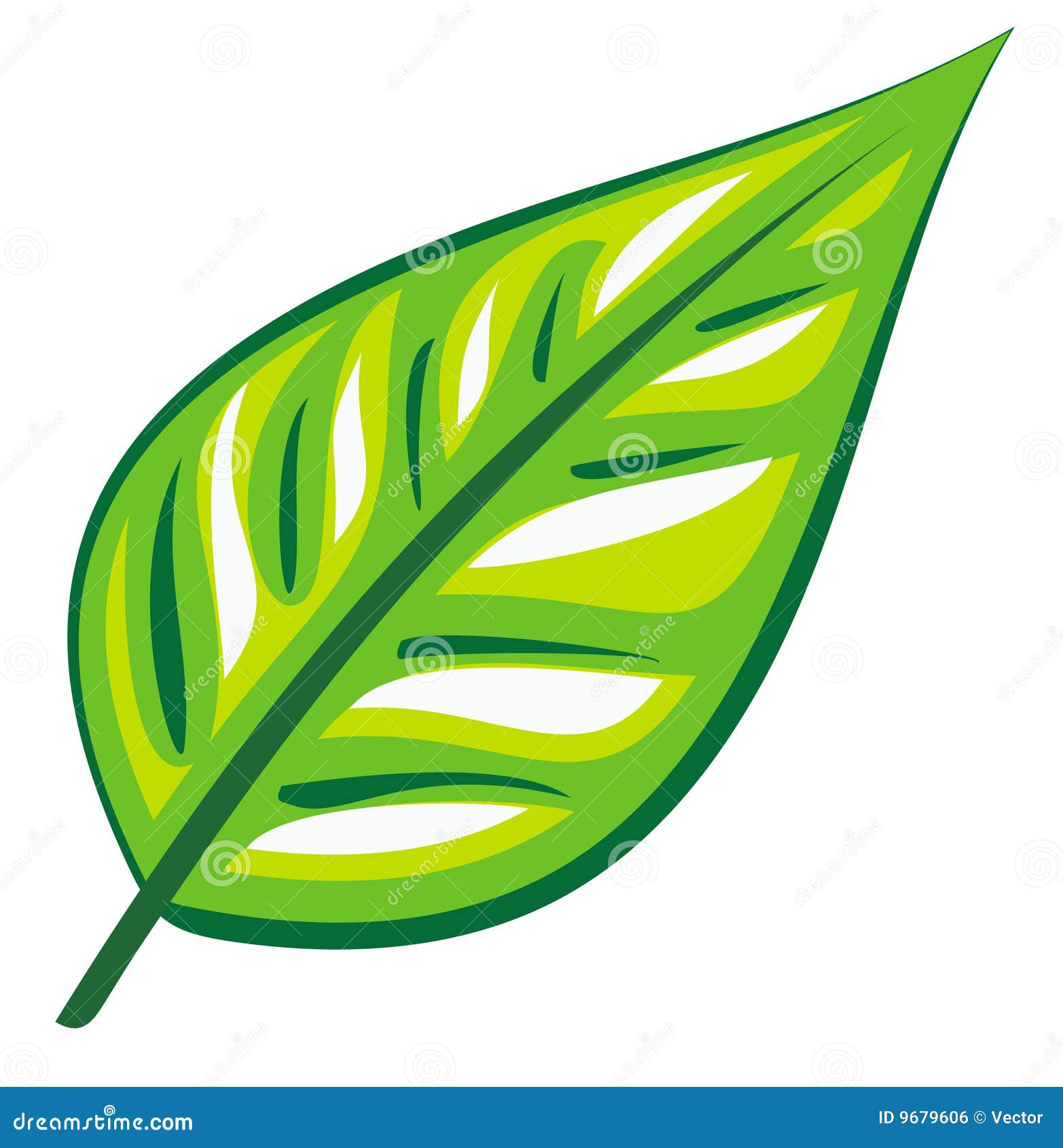 Groen blad (Vector) vector illustratie. Illustration of versheid - 9679606