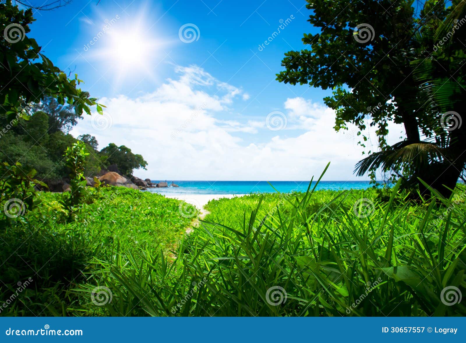 Groen Bos Met Weg Aan Wit Strand. Seyshelles Stock Afbeelding - Image ...