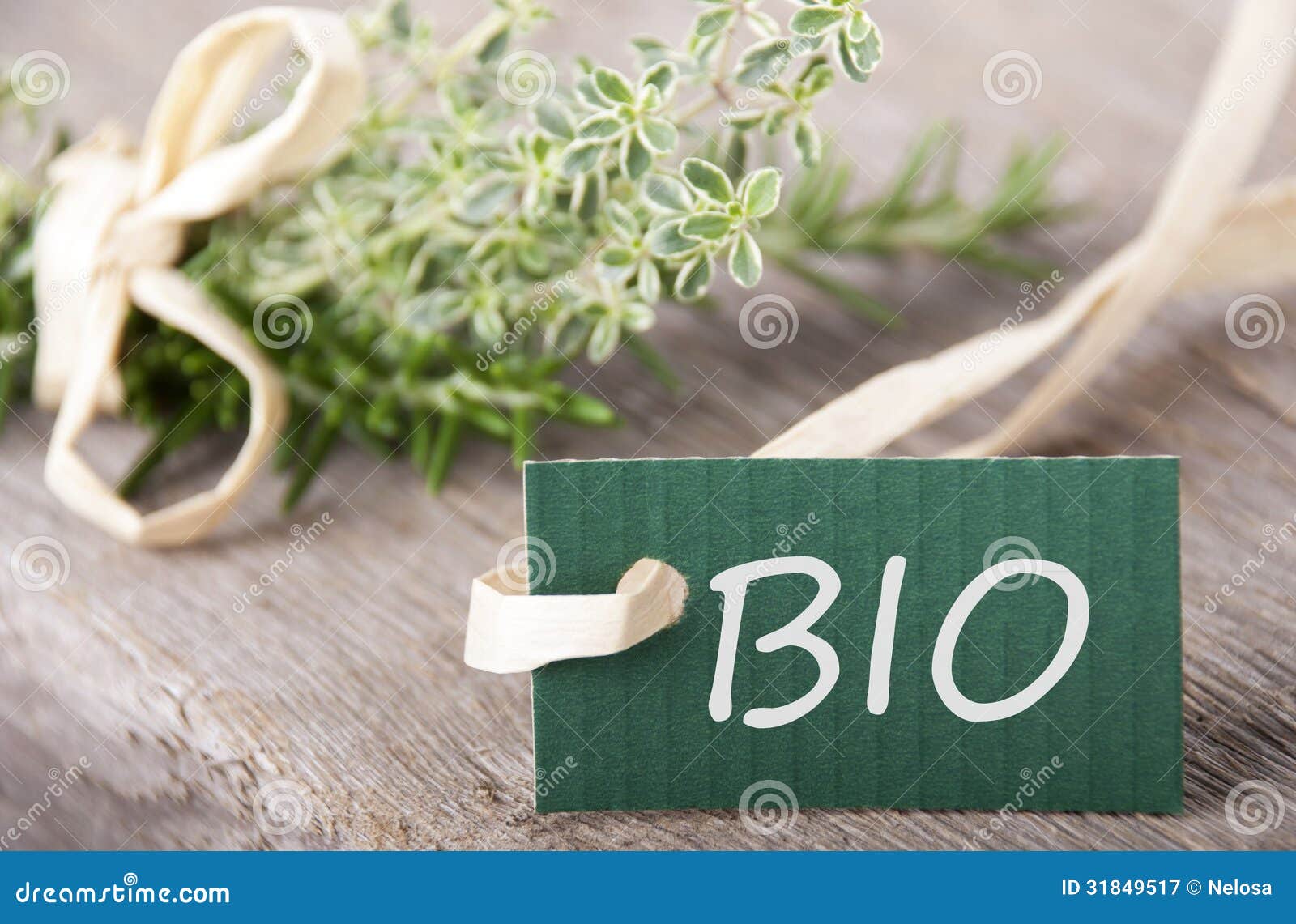 Groen etiket met BIO stock afbeelding. Image of tuin - 31849517