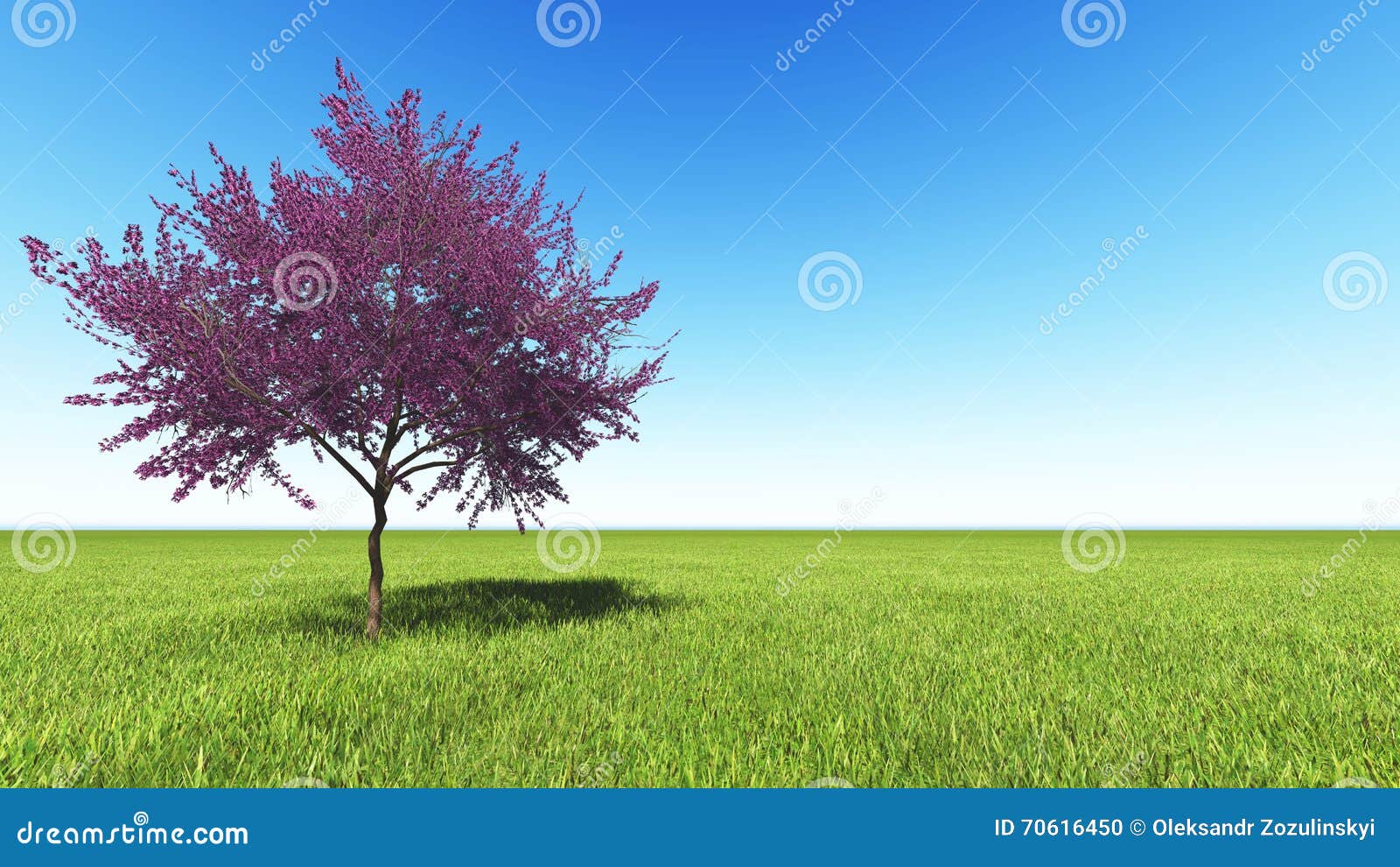 Groen Flied Van Gras Met Rode Boom Stock Foto - Image of gewas, leeg ...