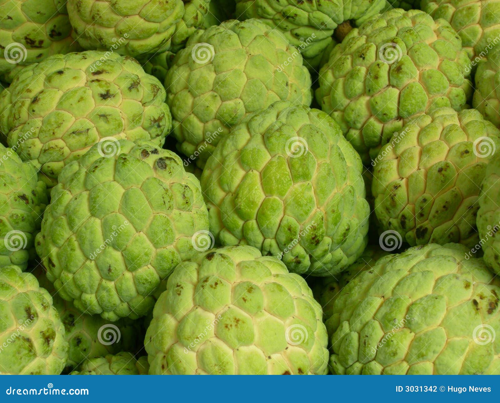 Groen fruit stock foto. Afbeelding bestaande uit zoet - 3031342