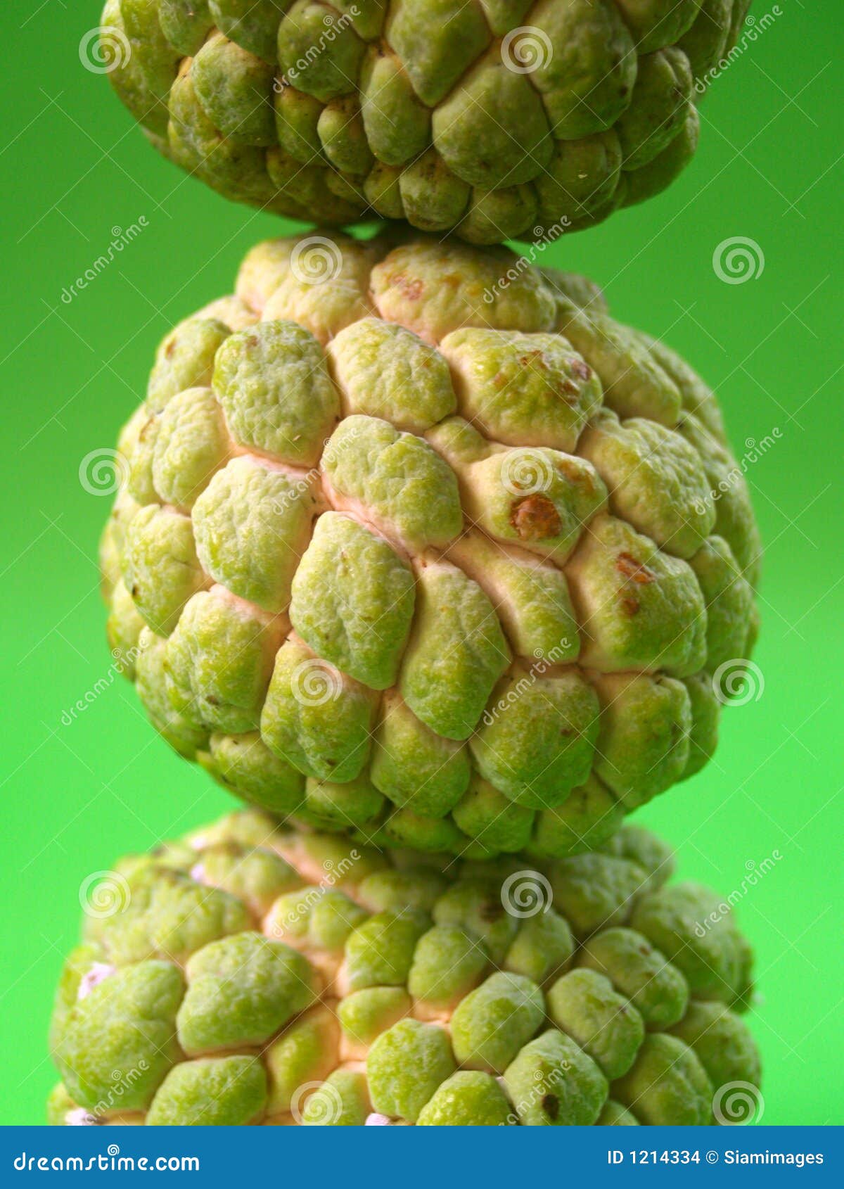 Groen fruit 4 stock foto. Image of groen, olie, noot, peer - 1214334