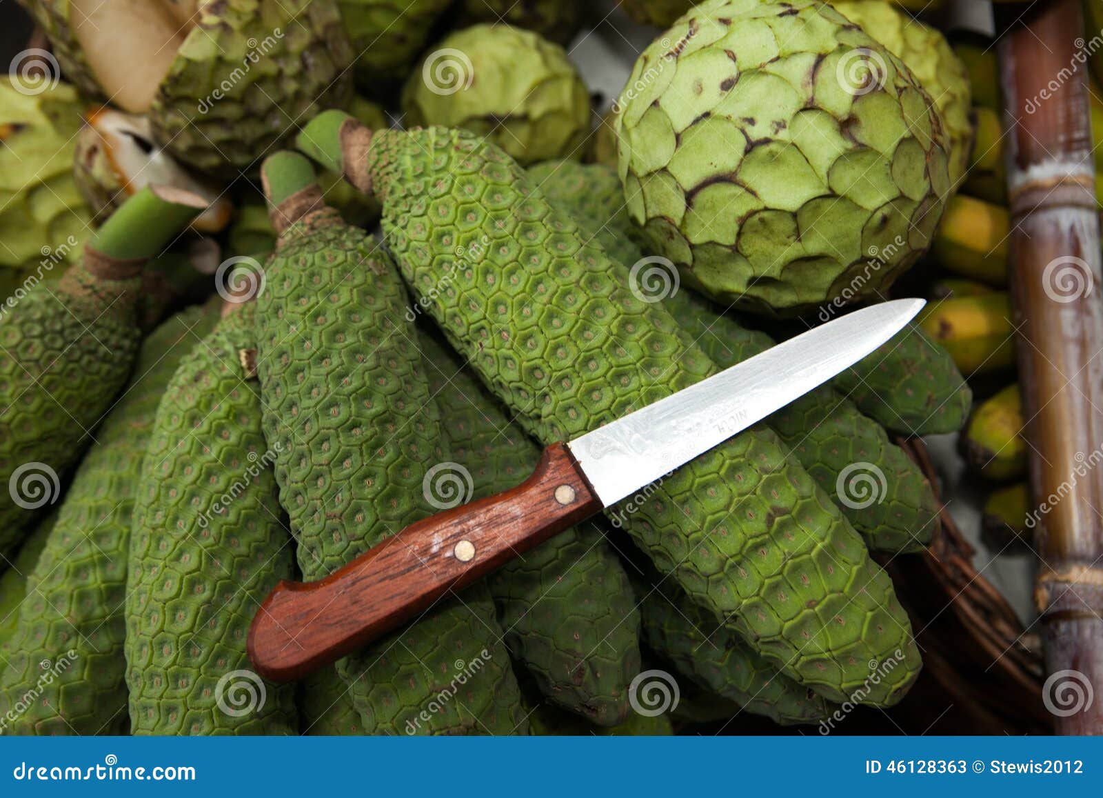 Groen fruit stock afbeelding. Image of eilanden, madera - 46128363