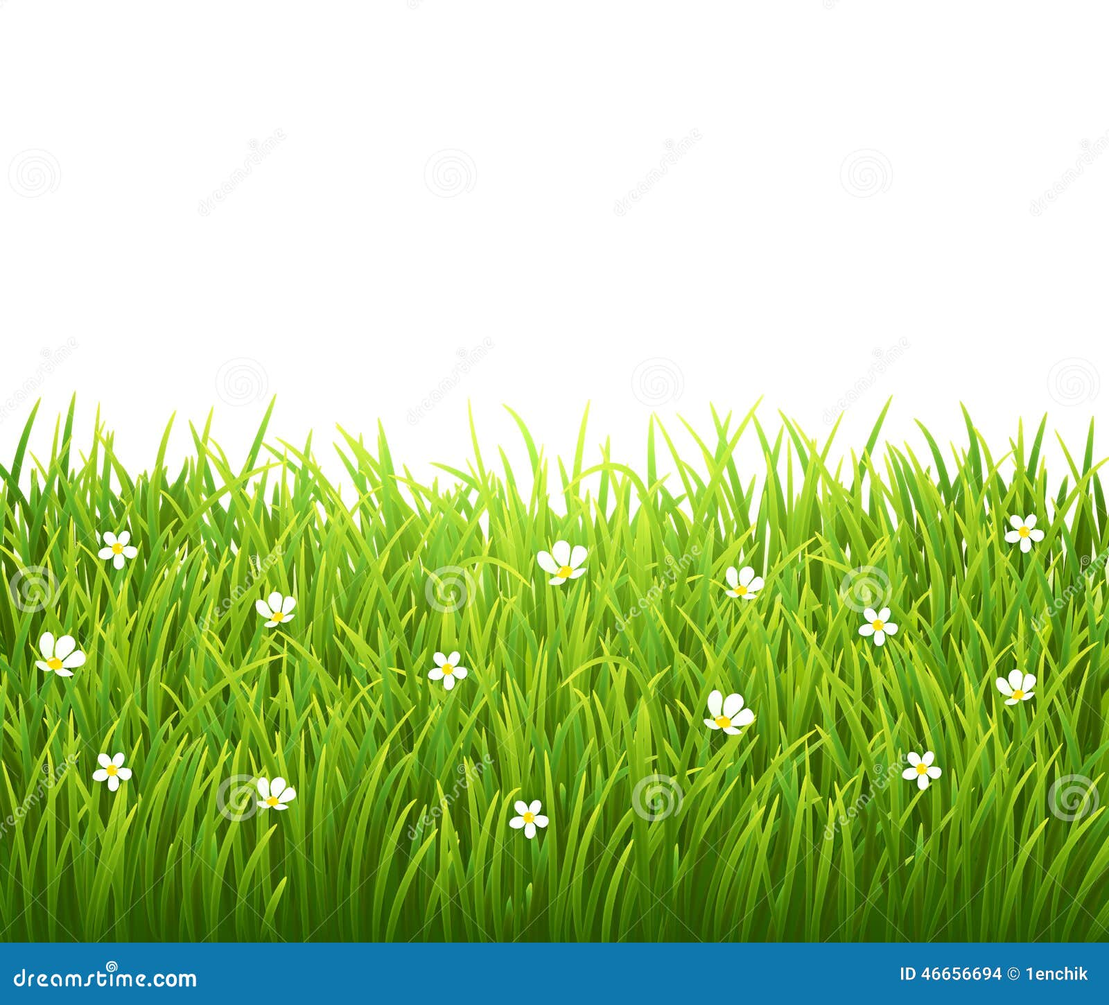 Groen Geïsoleerd Gras Met Bloemen Op Wit Vector Illustratie ...