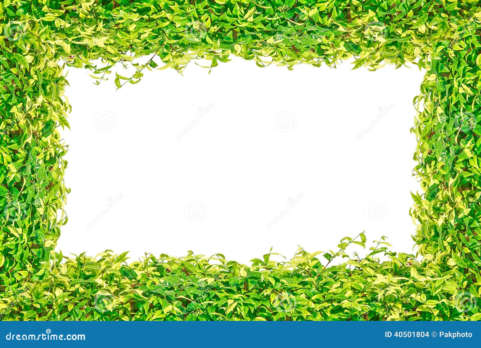 Groen Gras Geïsoleerd Kader Voor Achtergrond Stock Foto - Image of nave ...