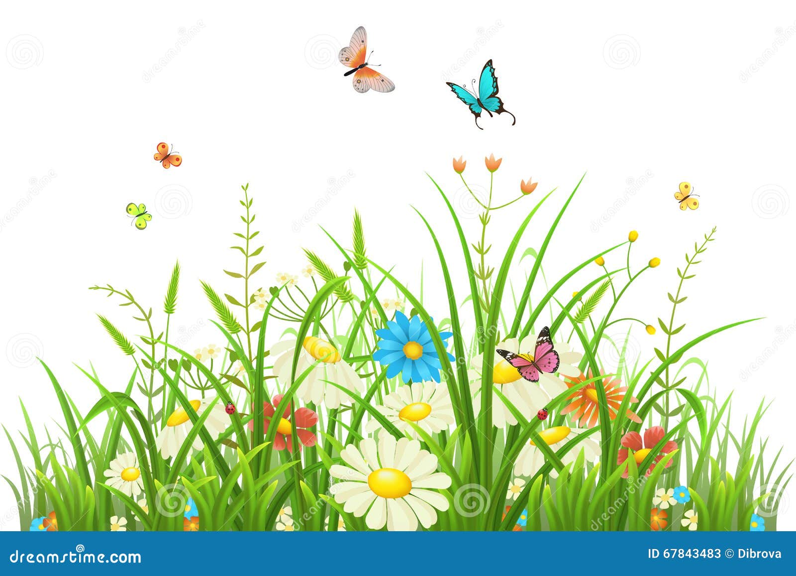 Groen gras met bloemen vector illustratie. Illustration of gebied ...