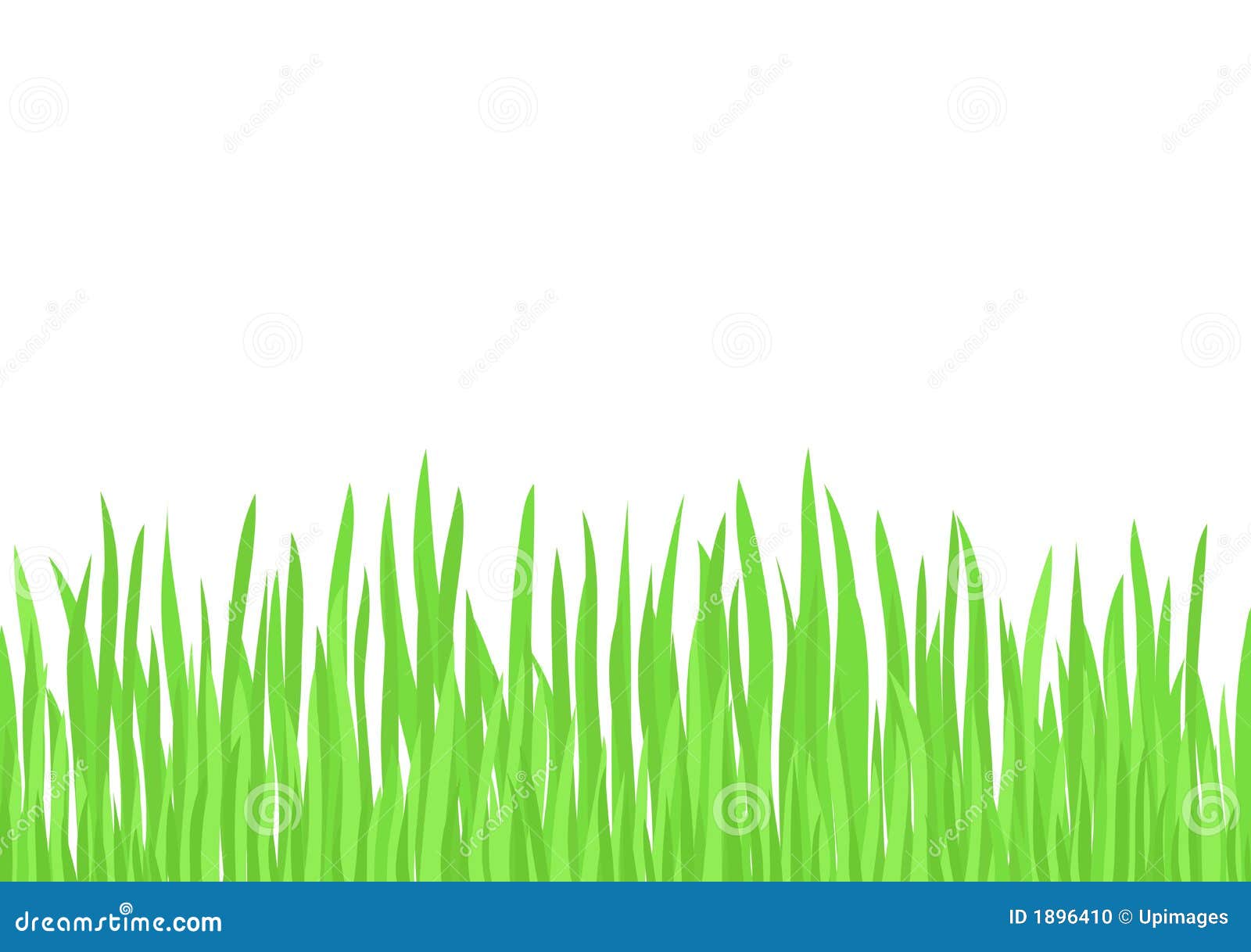 Groen Gras (vector) vector illustratie. Illustration of kleurrijk - 1896410