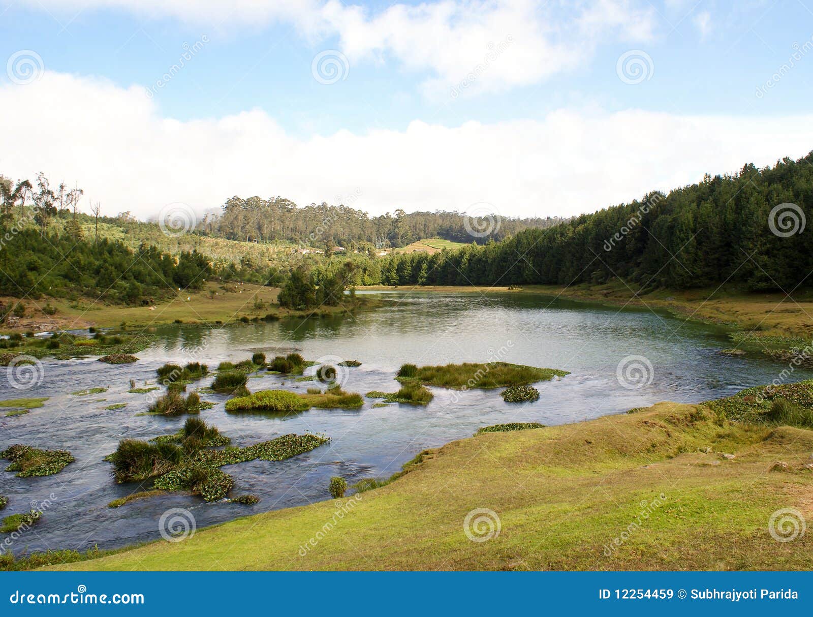 Groen Landschap Met Waterstroom Stock Afbeelding - Image of bossen ...