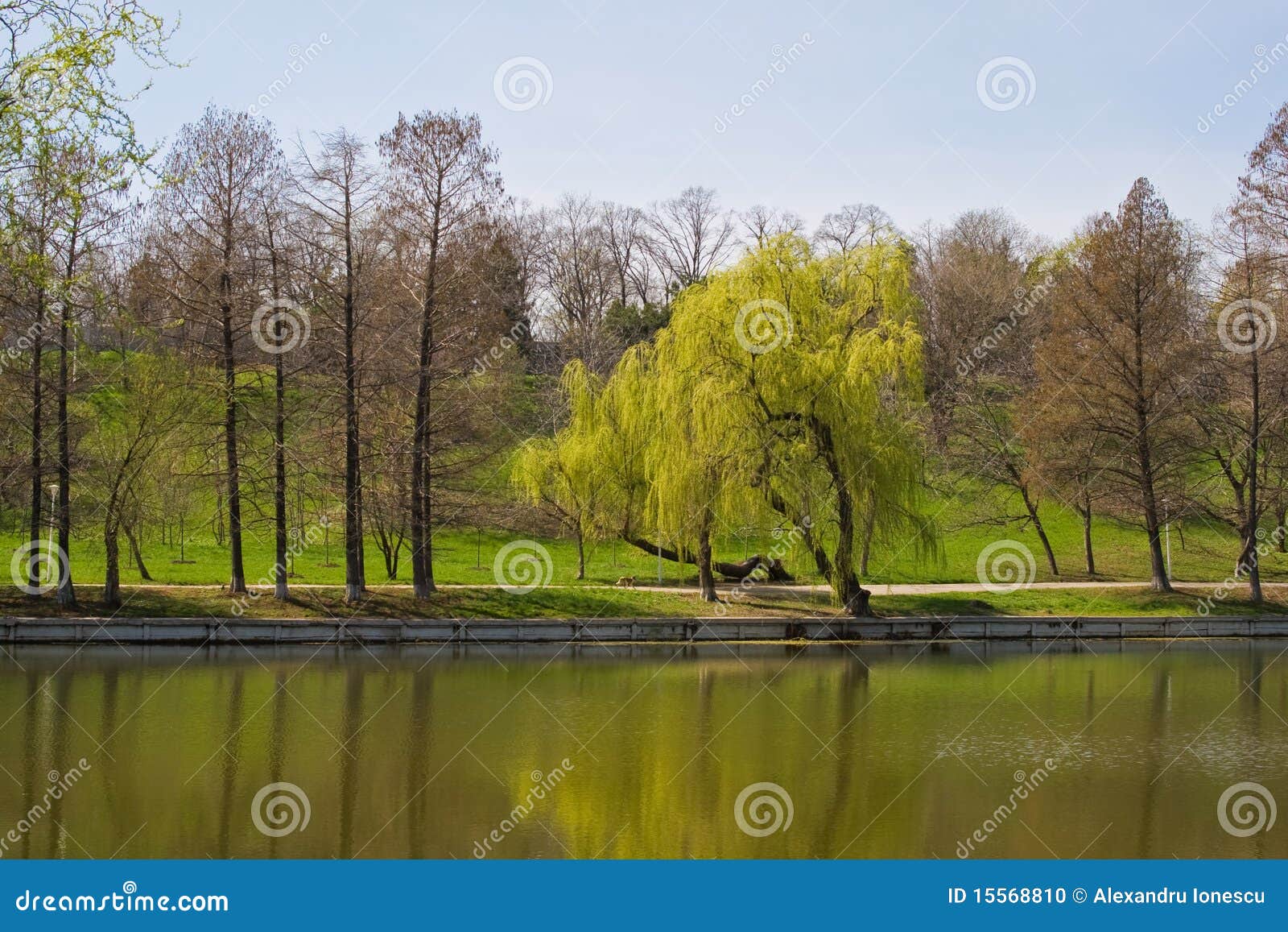 Groen Milieu in Een Park, Boekarest Stock Foto - Image of wolk, zomer ...