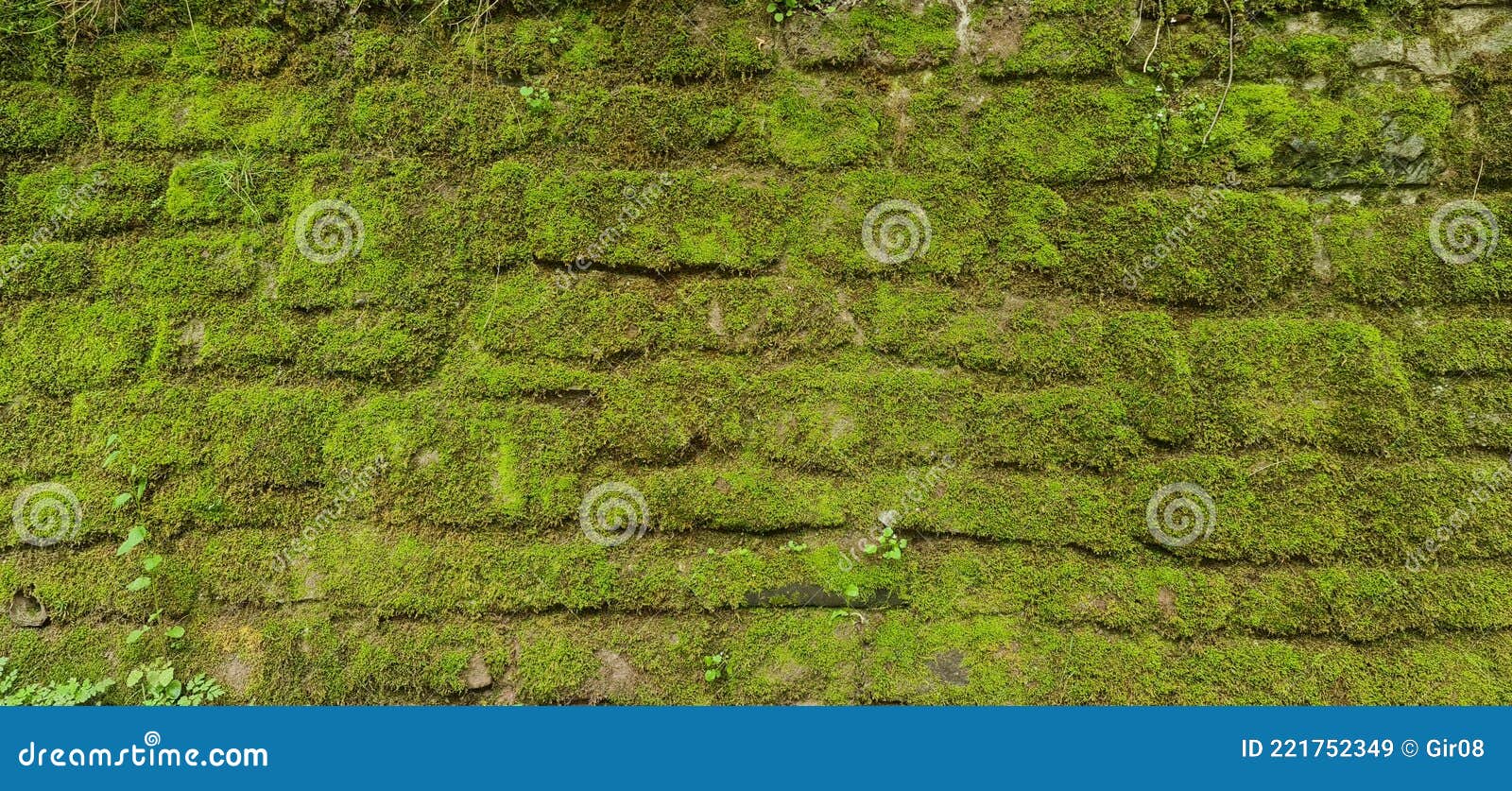 Groen Mos Op De Oude Muur Van Het Kasteel Stock Afbeelding - Image of ...
