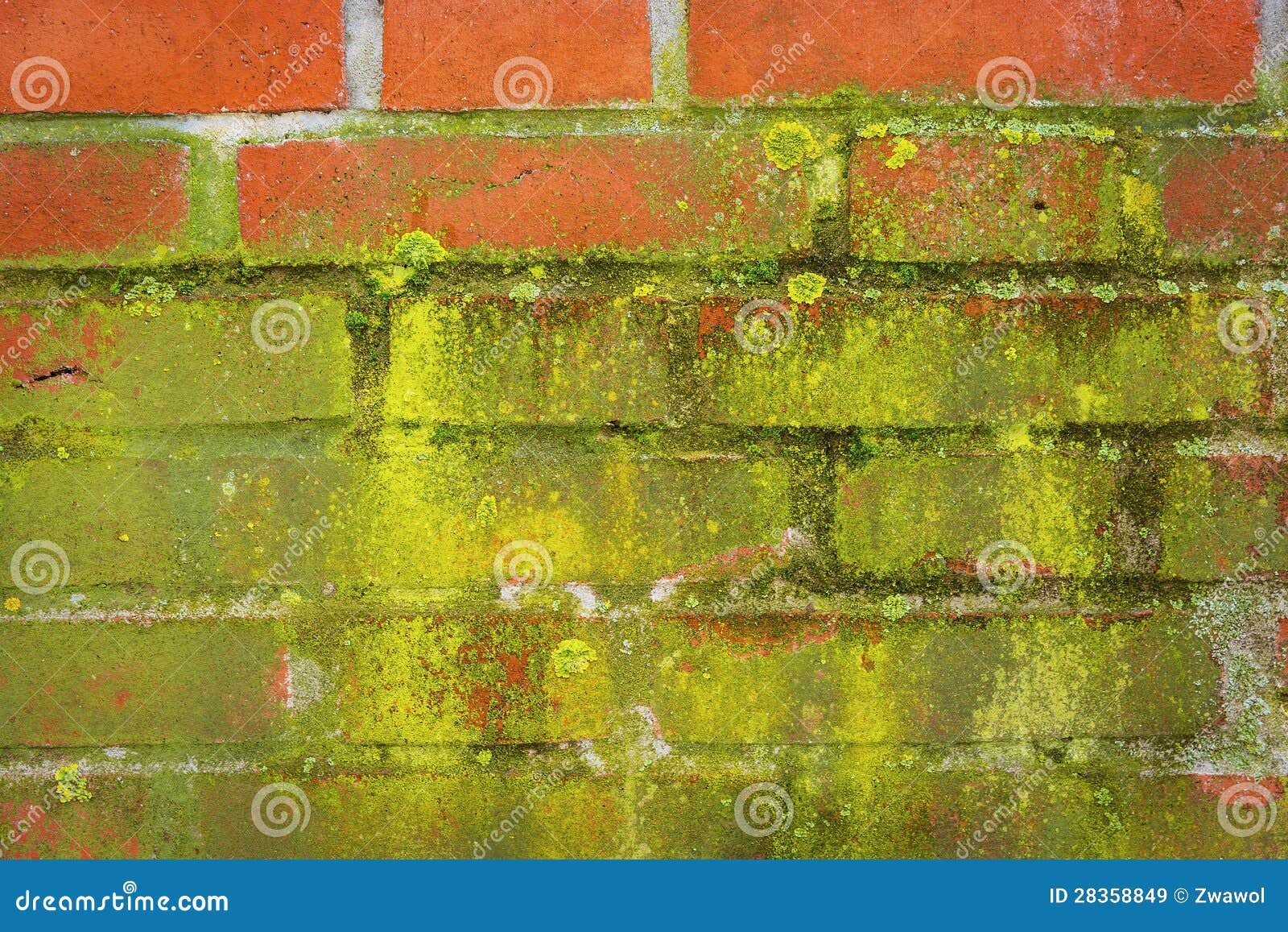 Groen mos op een rode muur stock afbeelding. Image of zand - 28358849