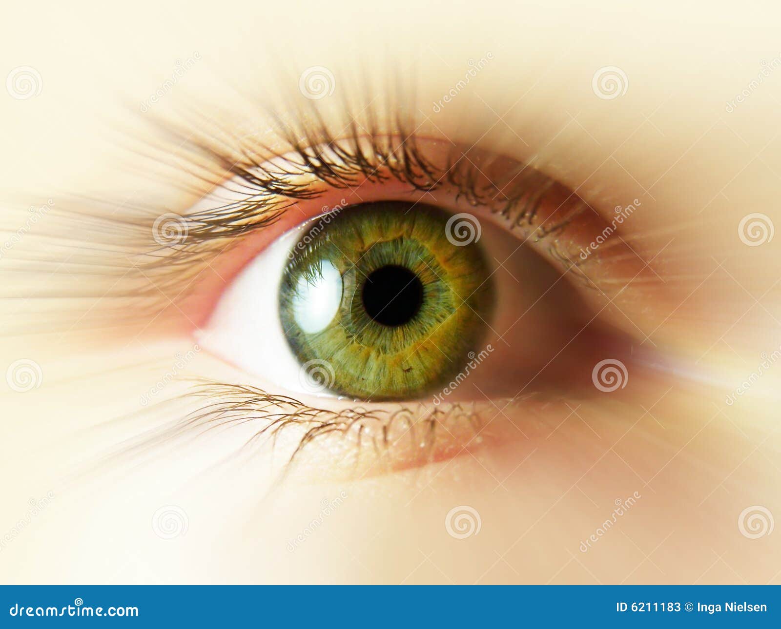 Groen Oog stock afbeelding. Image of wijfje, wimpers, glans - 6211183