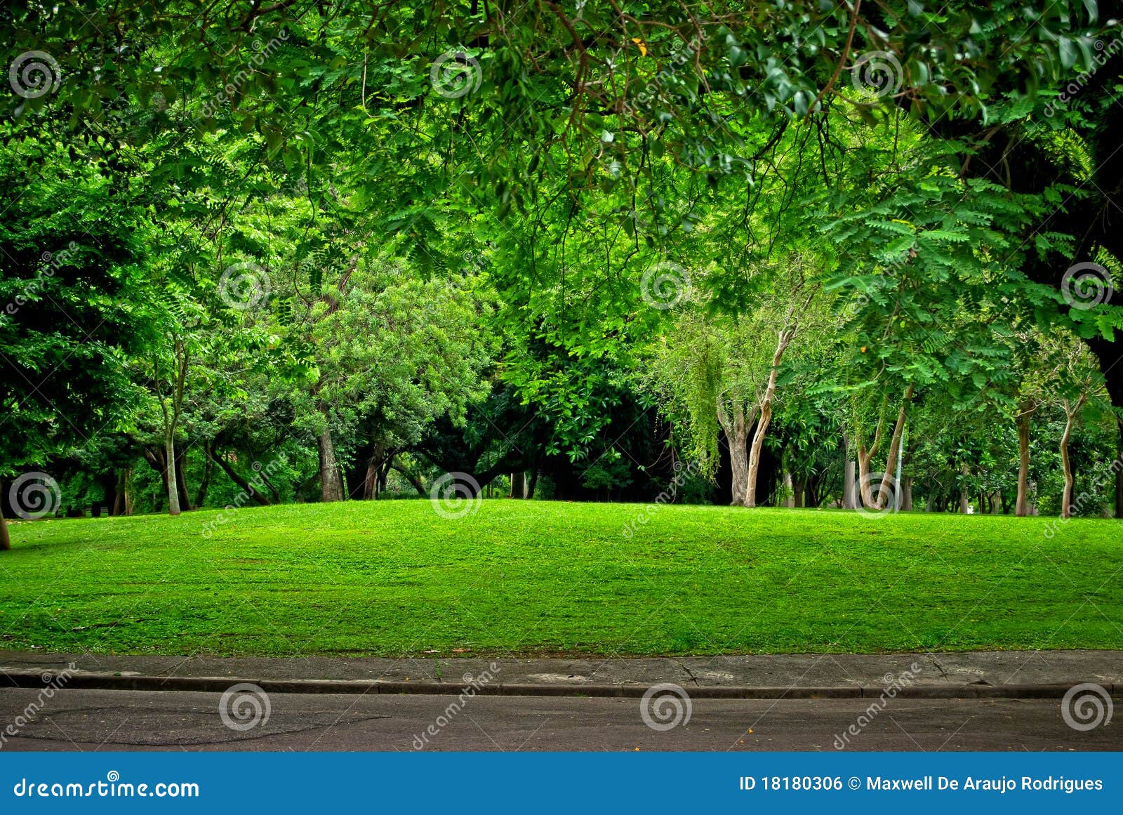 Groen Park stock foto. Image of verlaten, blad, uitgelijnd - 18180306