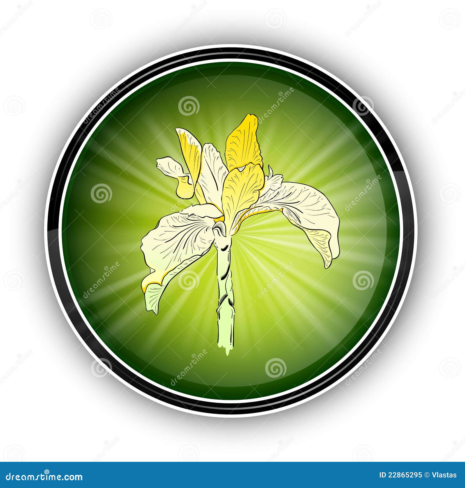 Groen symbool vector illustratie. Illustration of elegantie - 22865295