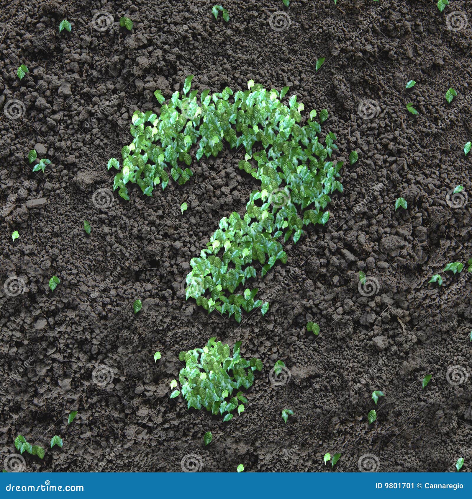 Groen vraagteken stock afbeelding. Image of biologisch - 9801701