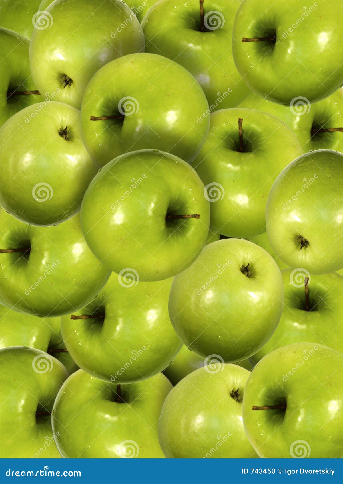 Groene appel stock foto. Image of groen, appel, sappig - 743450