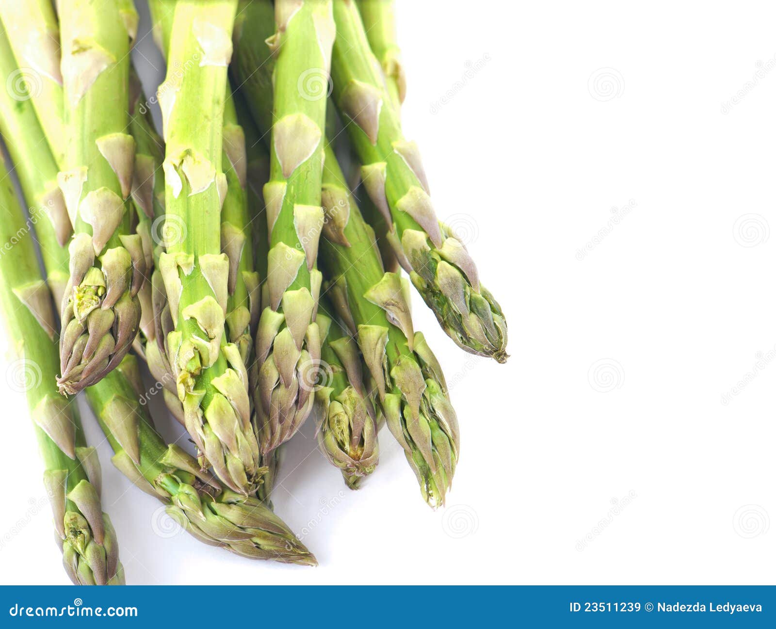 Groene asperge stock afbeelding. Image of achtergrond - 23511239