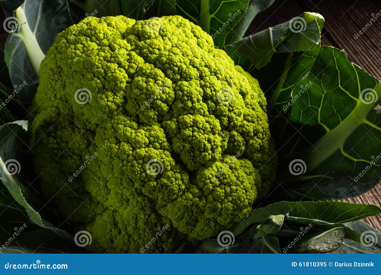Groene bloemkool stock afbeelding. Image of hitte, vers - 61810395
