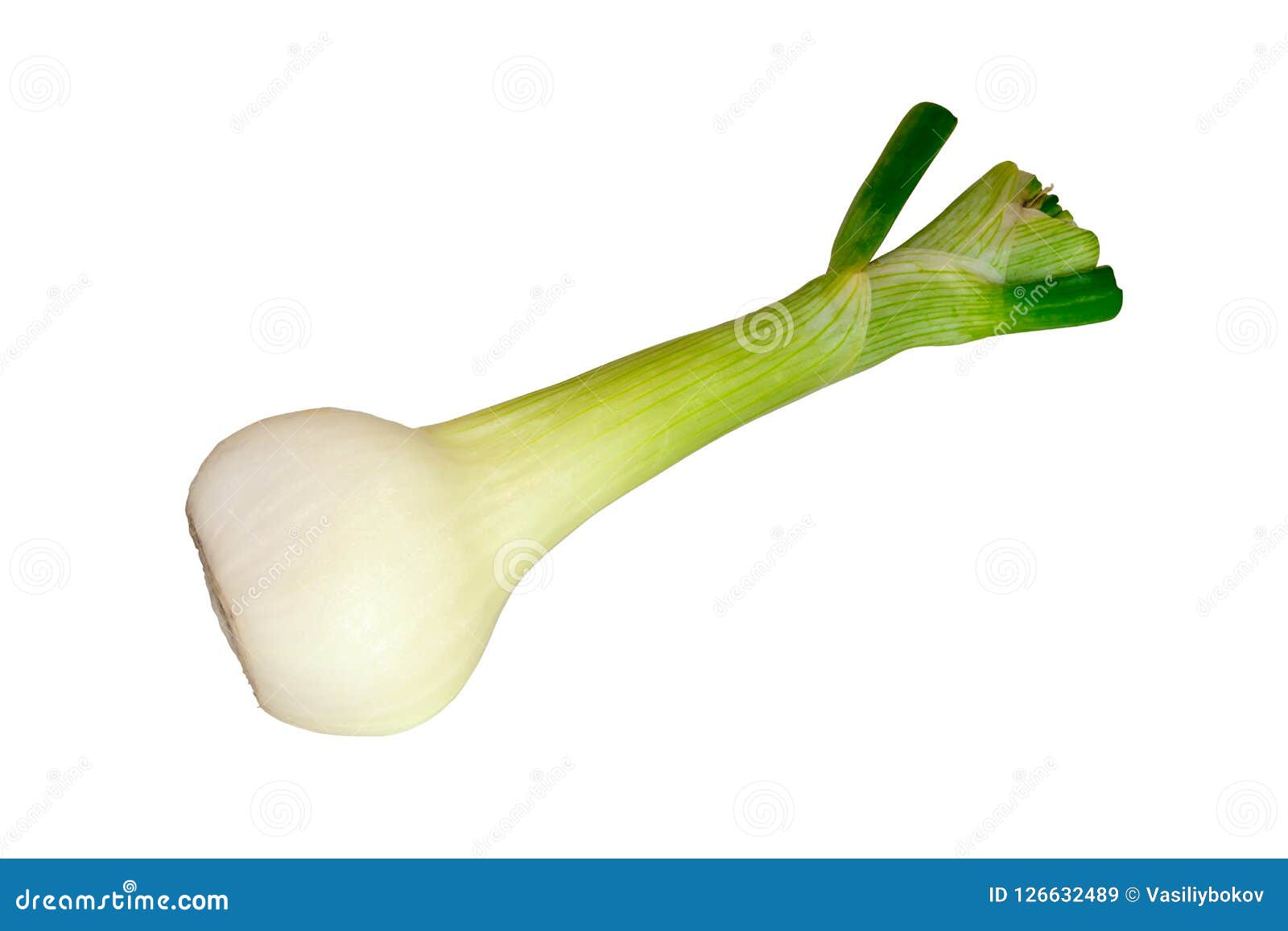 Groene Bollen Kleine Uibollen Groene Ui Stock Afbeelding - Image of ...