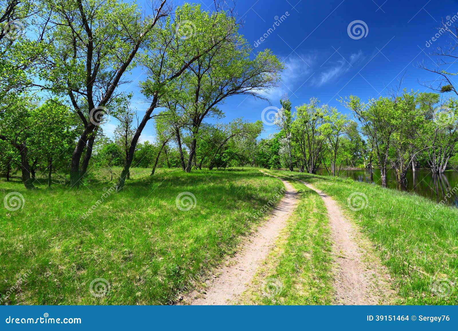 Groene bomen en landweg stock foto. Image of gras, grond - 39151464