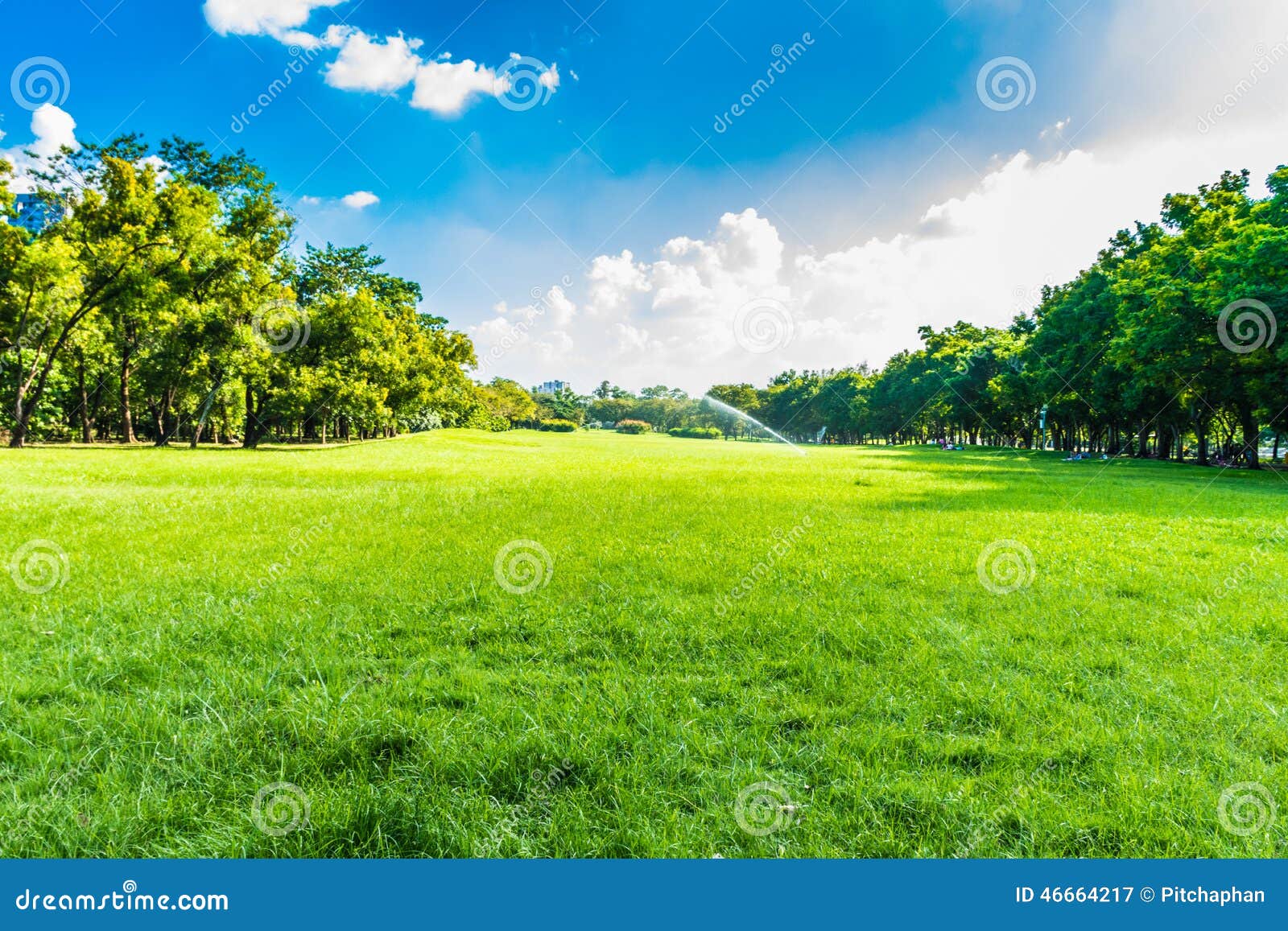 Groene Bomen in Mooi Park Over Blauwe Hemel Stock Afbeelding - Image of ...