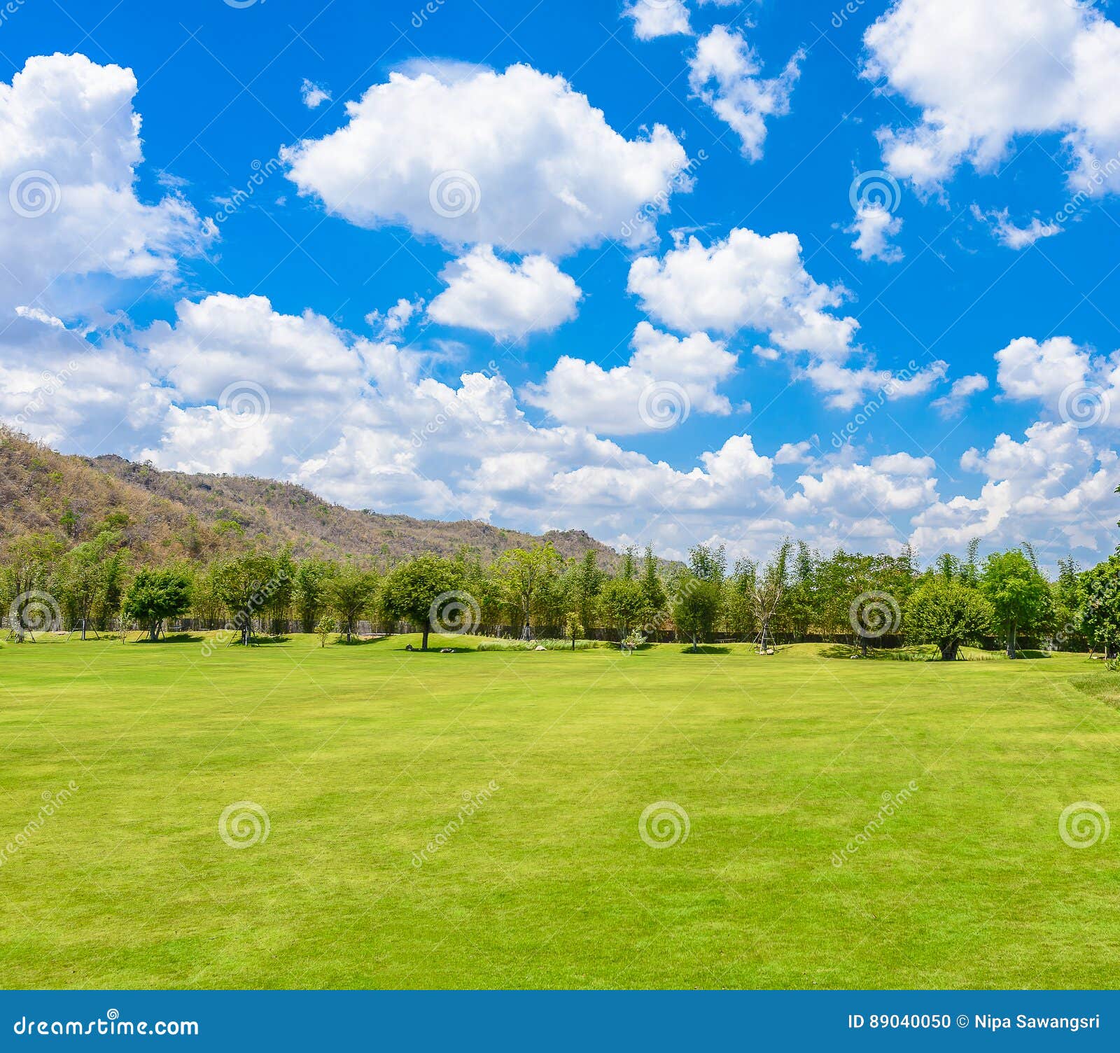Groene Bomen in Mooi Park Over Blauwe Hemel Stock Foto - Image of ...