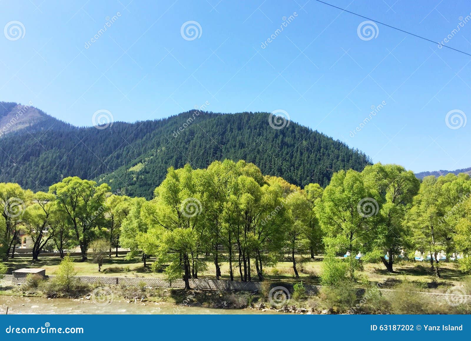 Groene bomen naast de berg stock foto. Image of china - 63187202