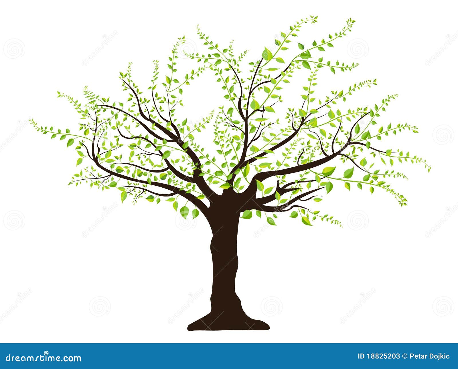 Groene boom vector illustratie. Illustration of zuurstof - 18825203