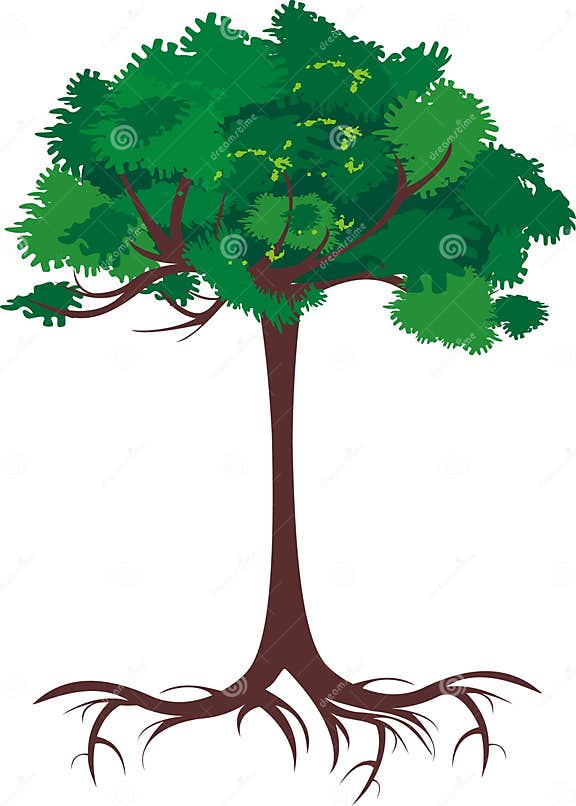 Groene boom stock illustratie. Illustration of enkelvoudig - 20473092