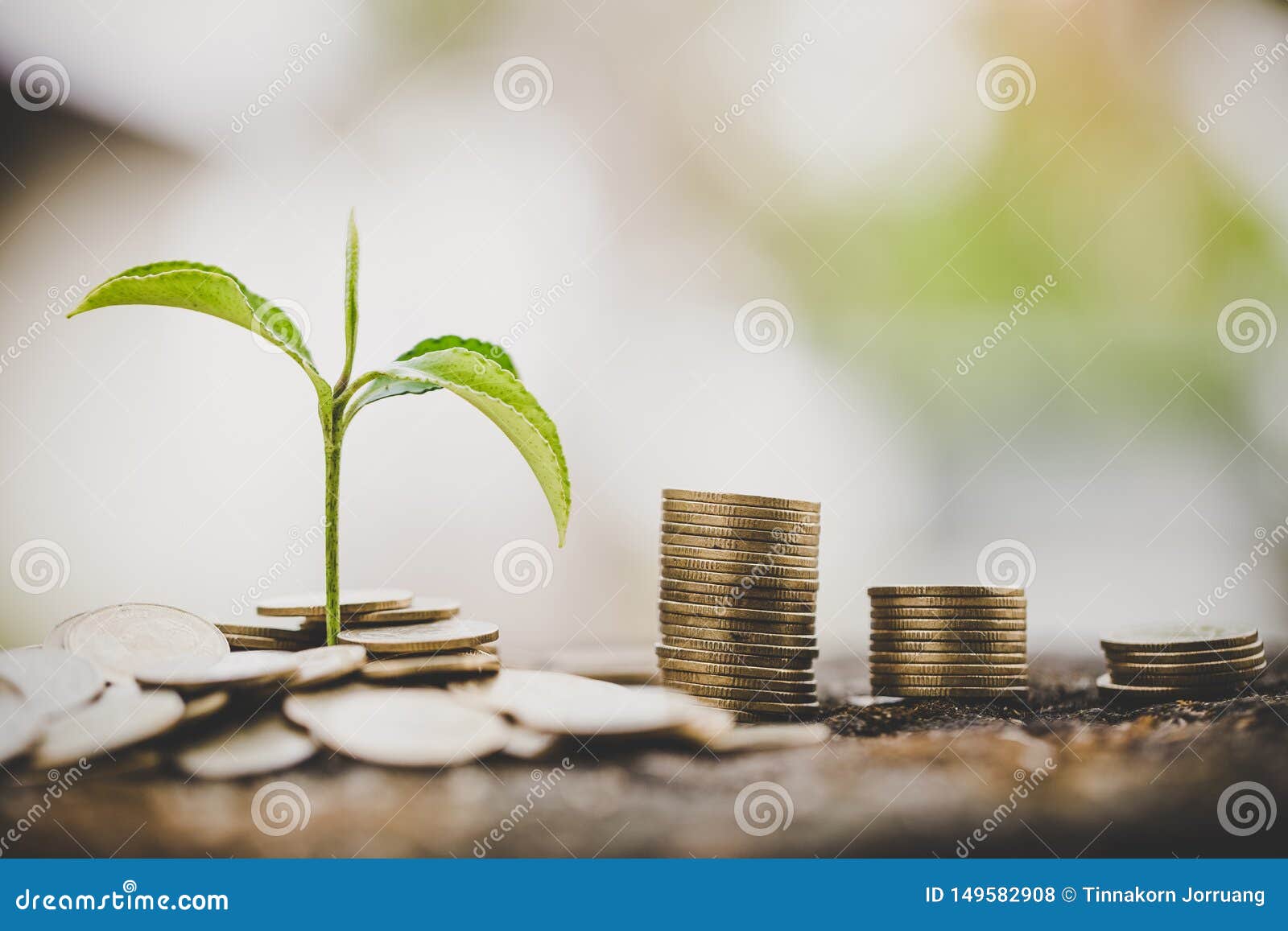 Groene Boom Die Op Geldmuntstukken Kweken, Besparing, De Groei ... Groene Boom Die Op Geldmuntstukken Kweken, Besparing, De Groei ...
