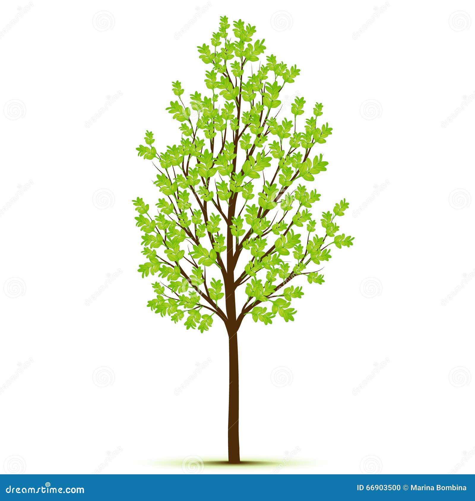 Groene Boom Met Bladeren Op Witte Achtergrond Vector Illustratie ...