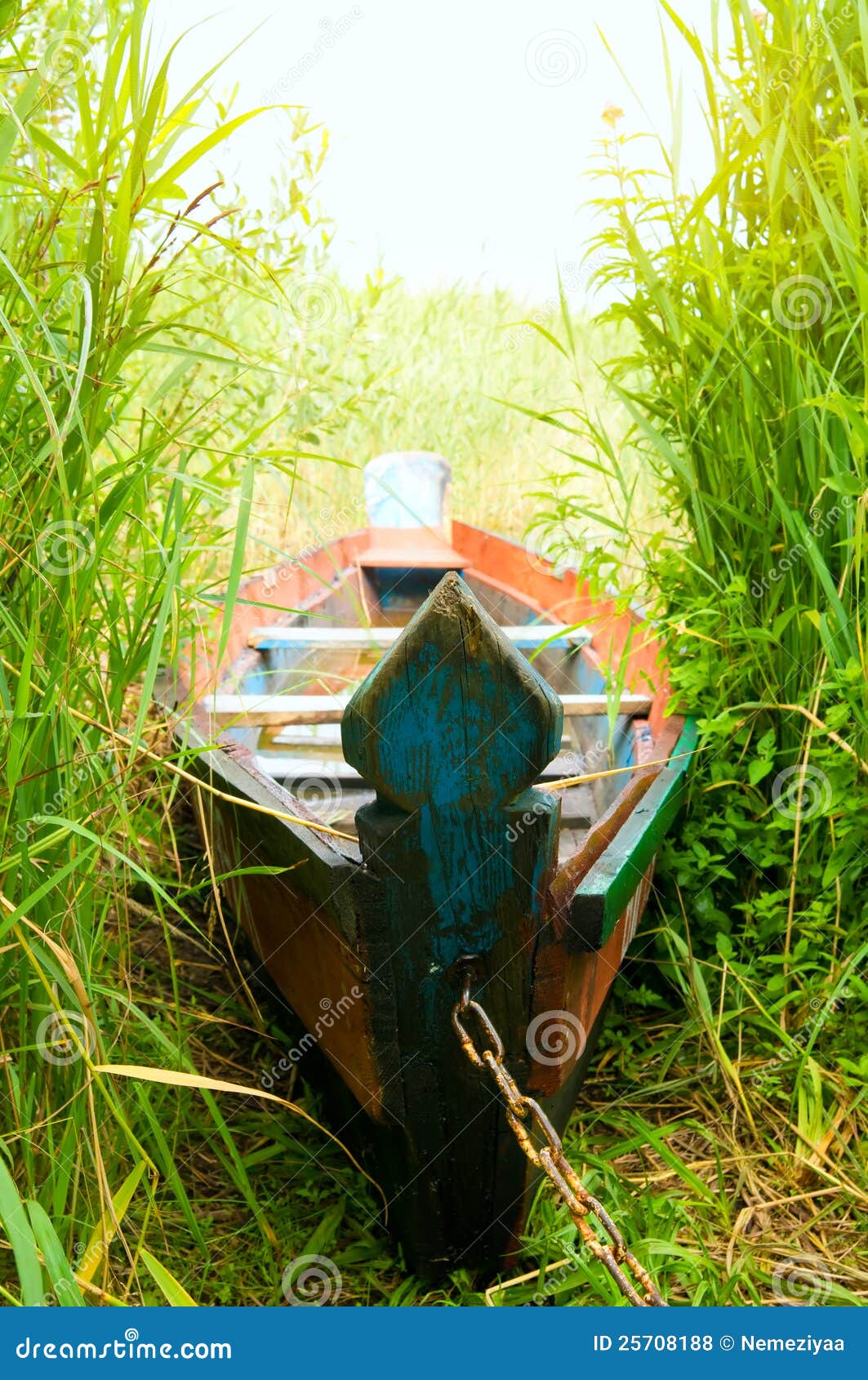 Groene Boot in Een Hoog Riet Stock Foto - Image of kruiden, gras: 25708188